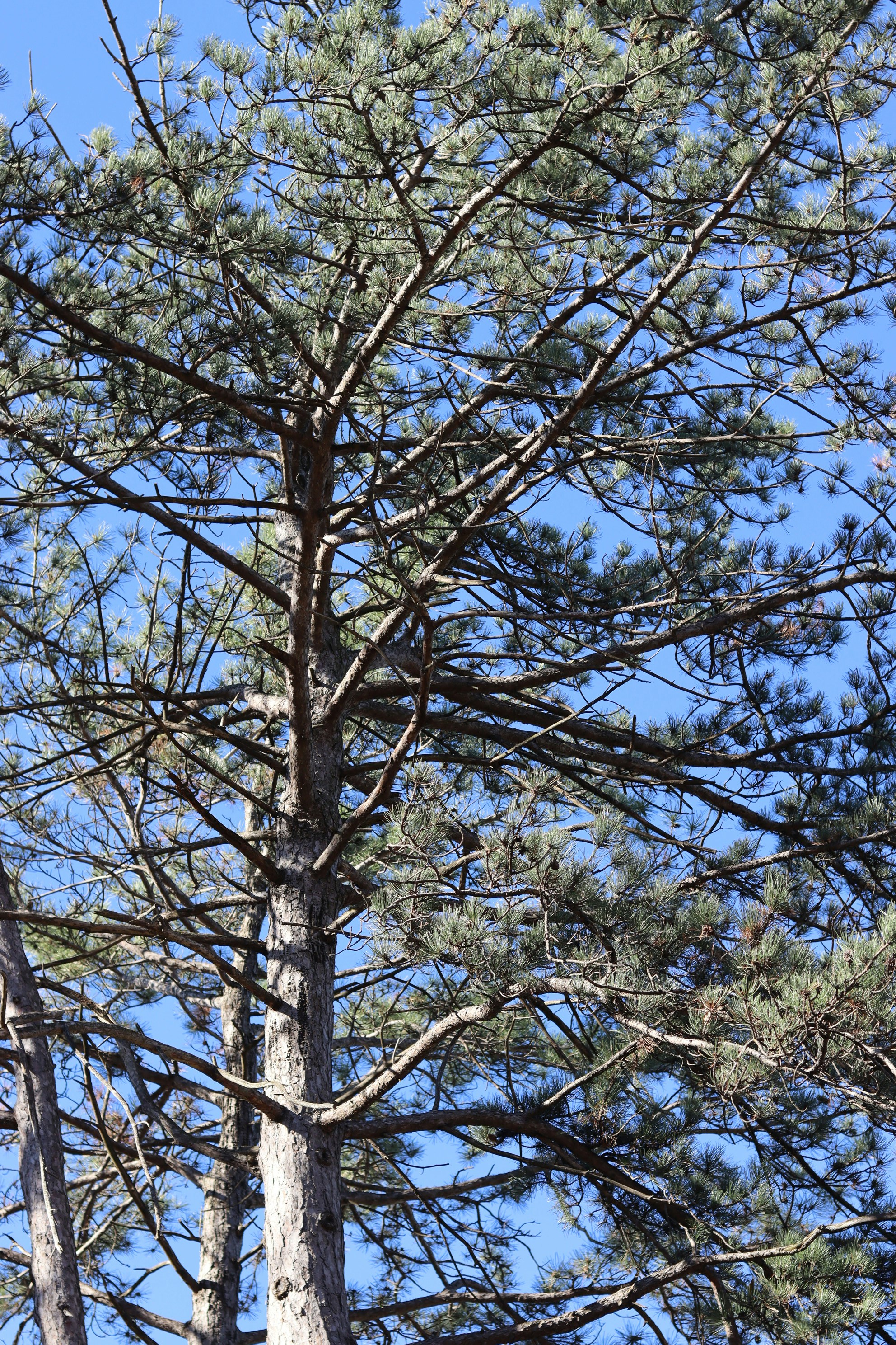 Photo by K F with Canon EOS 850D