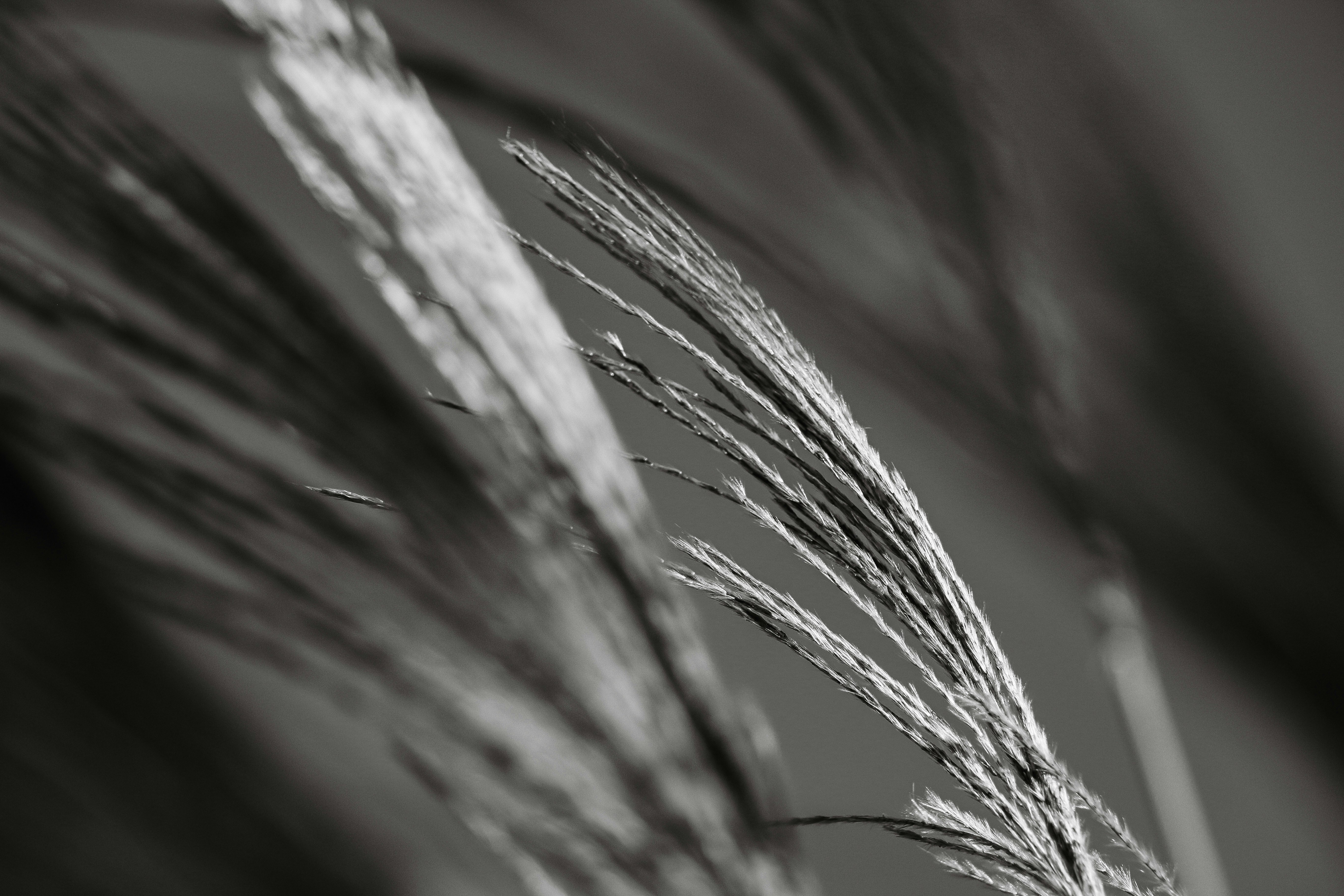 Photo by Dariia Lemesheva with Canon EOS 70D