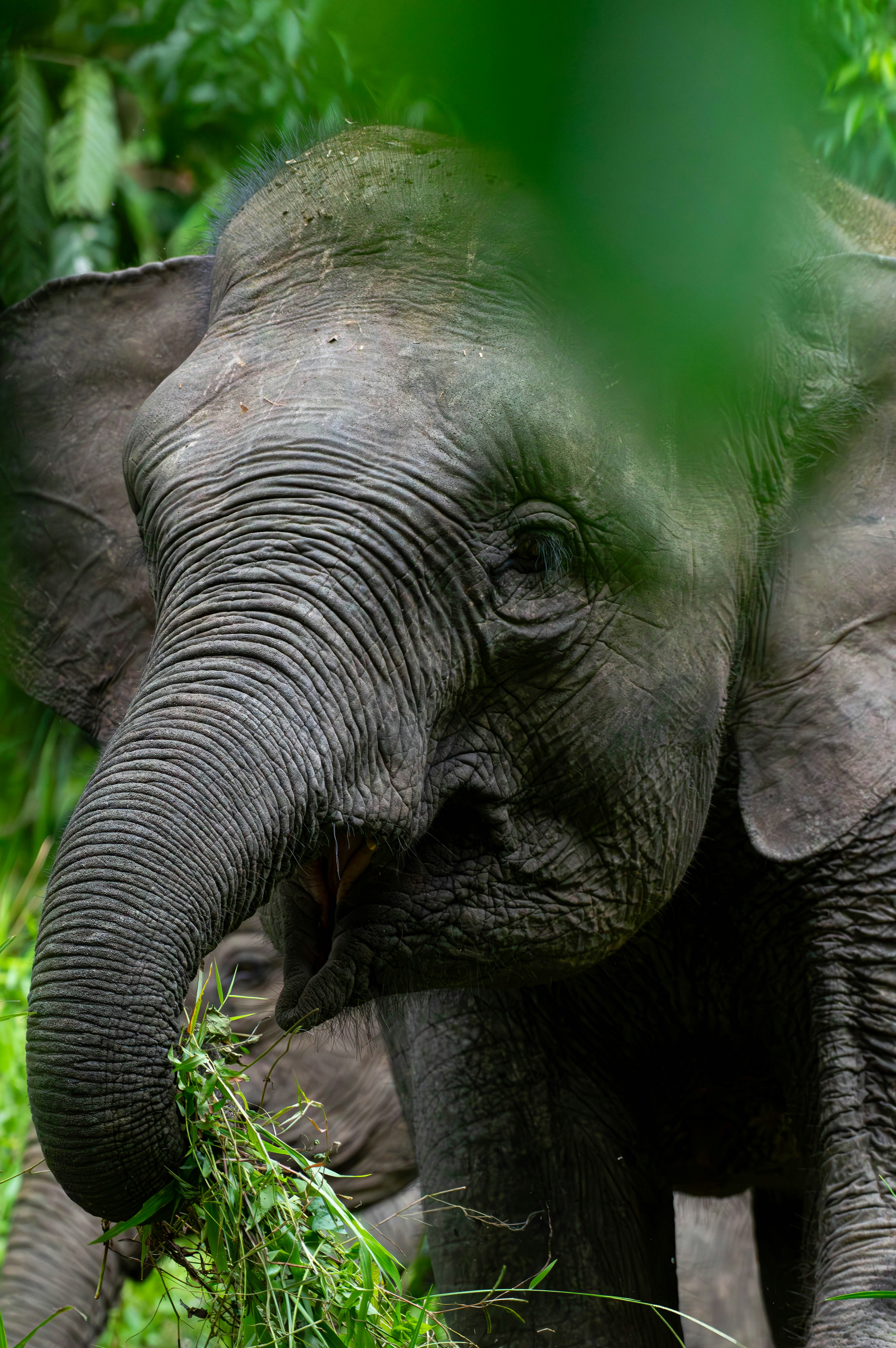 Photo by Avigna Krish Dyala Kumar with Nikon D3200