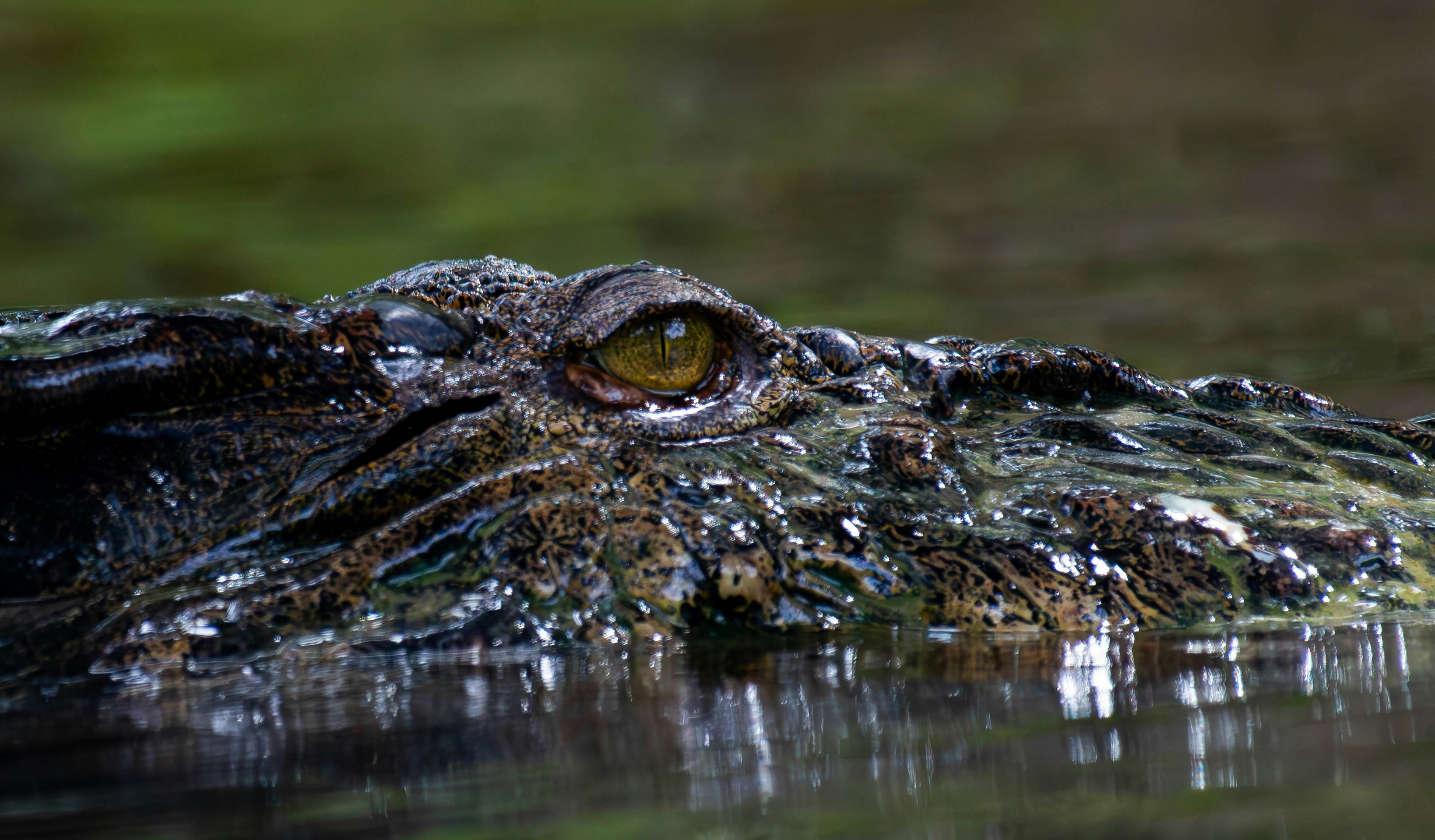 Photo by Avigna Krish Dyala Kumar with Nikon D3200