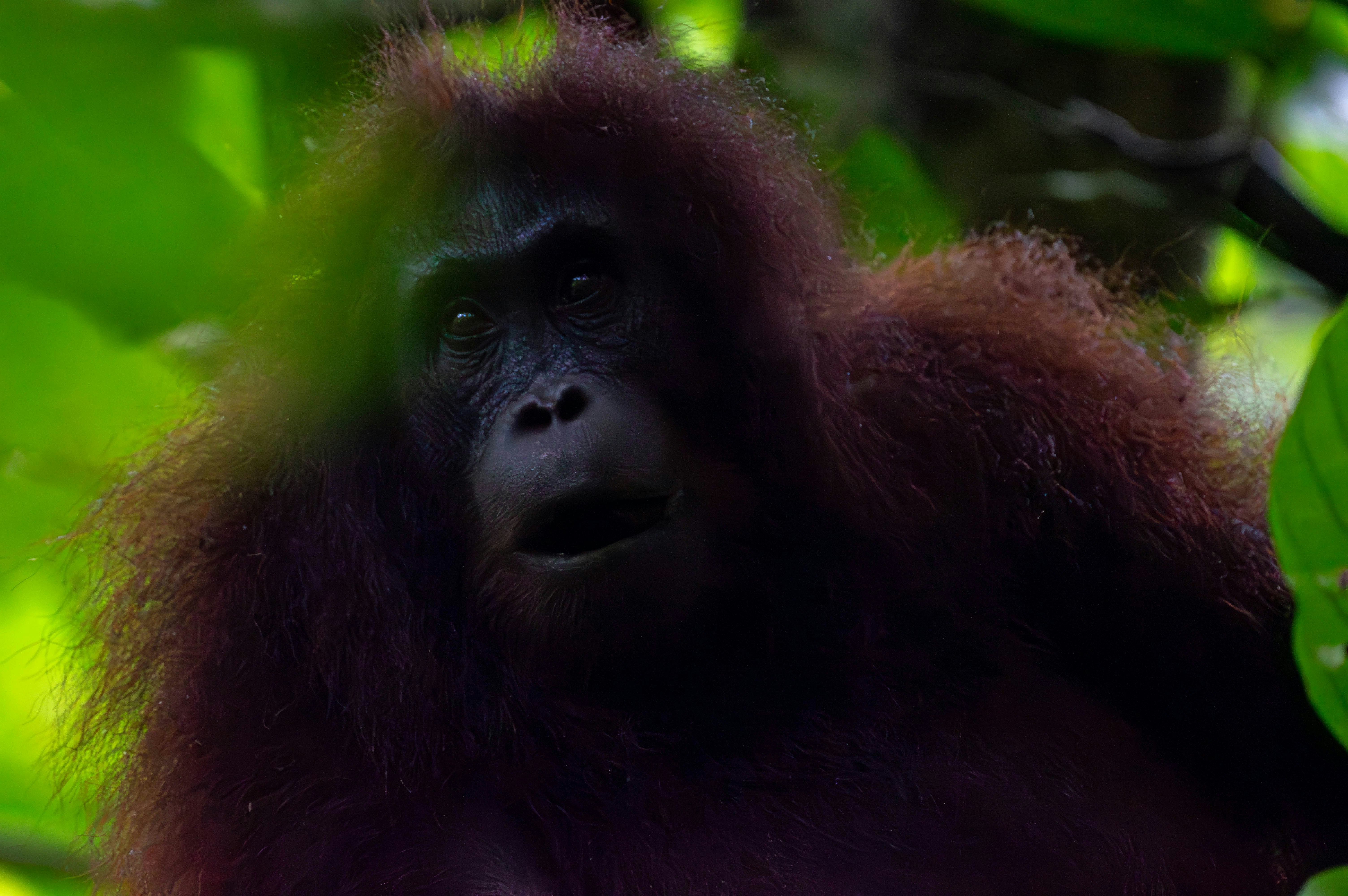 Photo by Avigna Krish Dyala Kumar with Nikon D3200