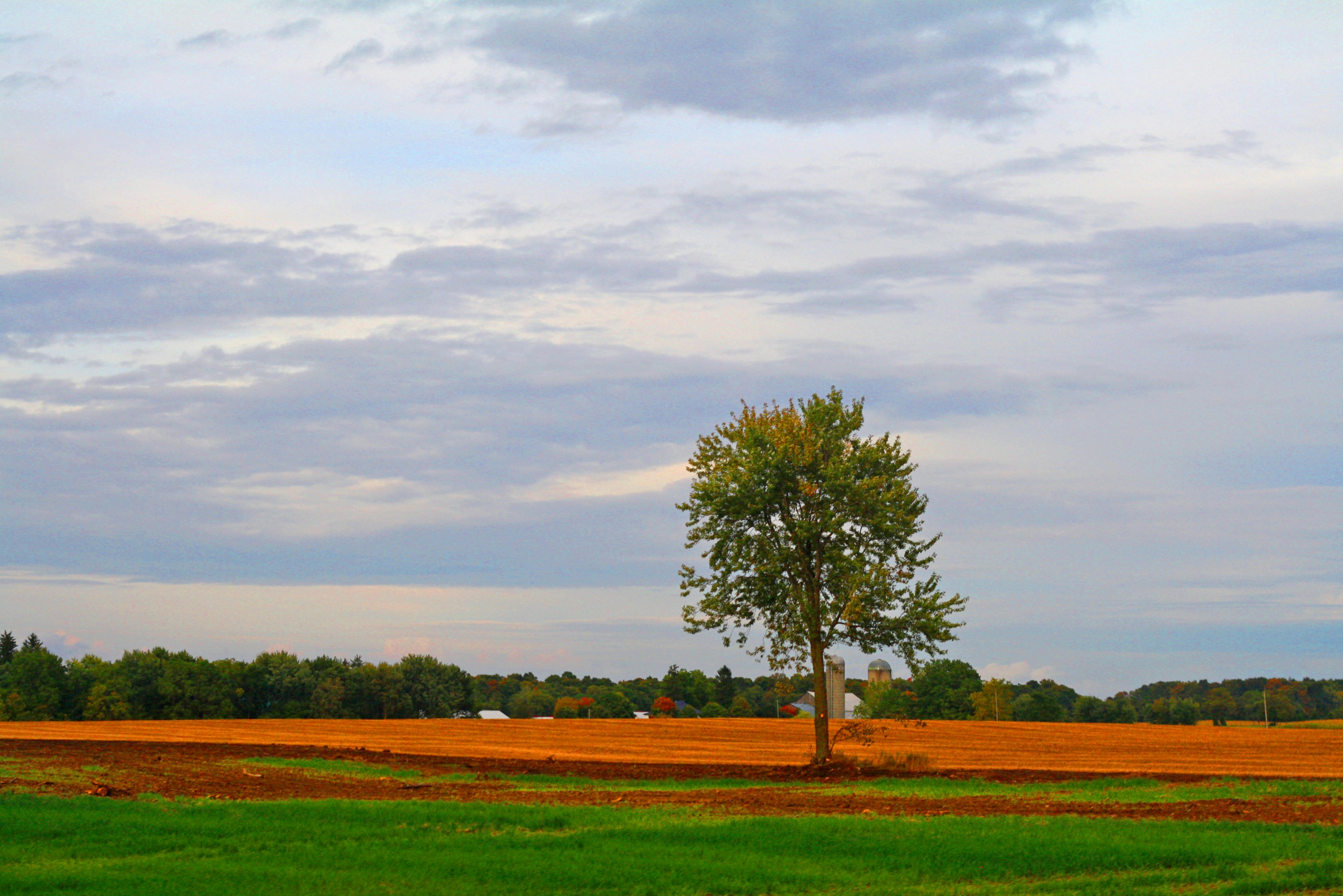 Photo by Ken  Whytock with Canon EOS 1000D