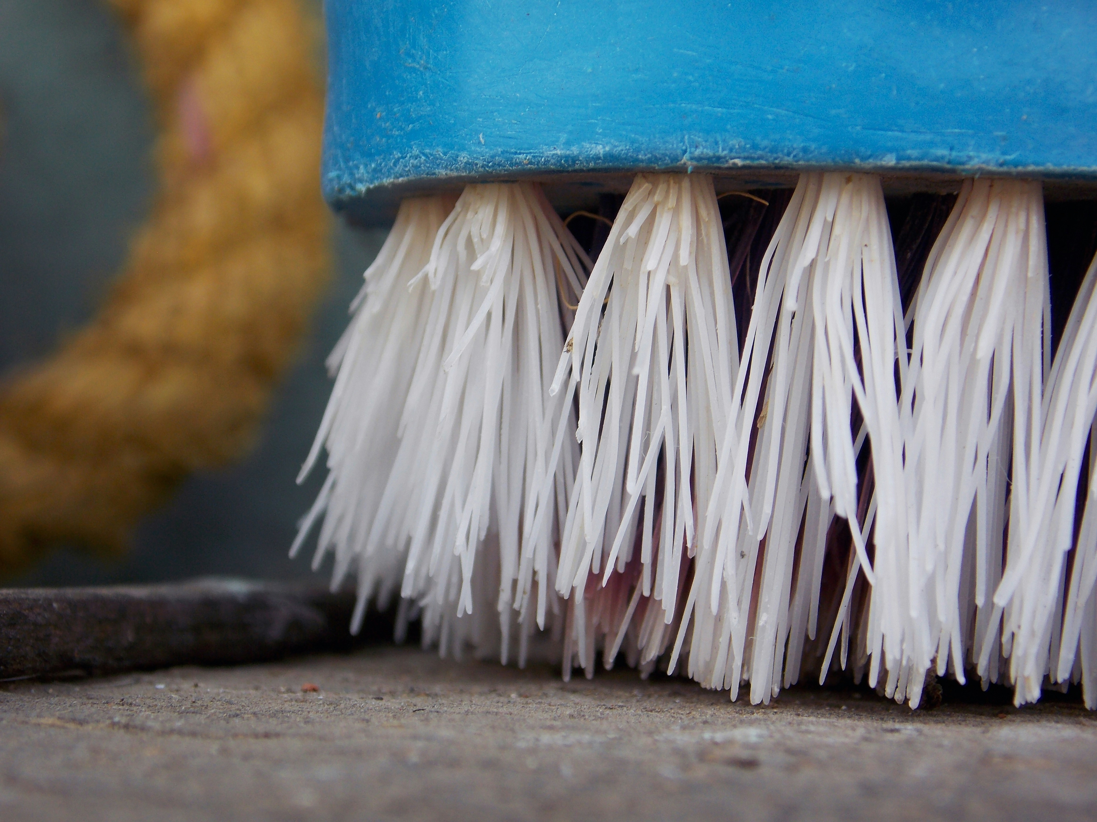 Even bristles have their rhythm