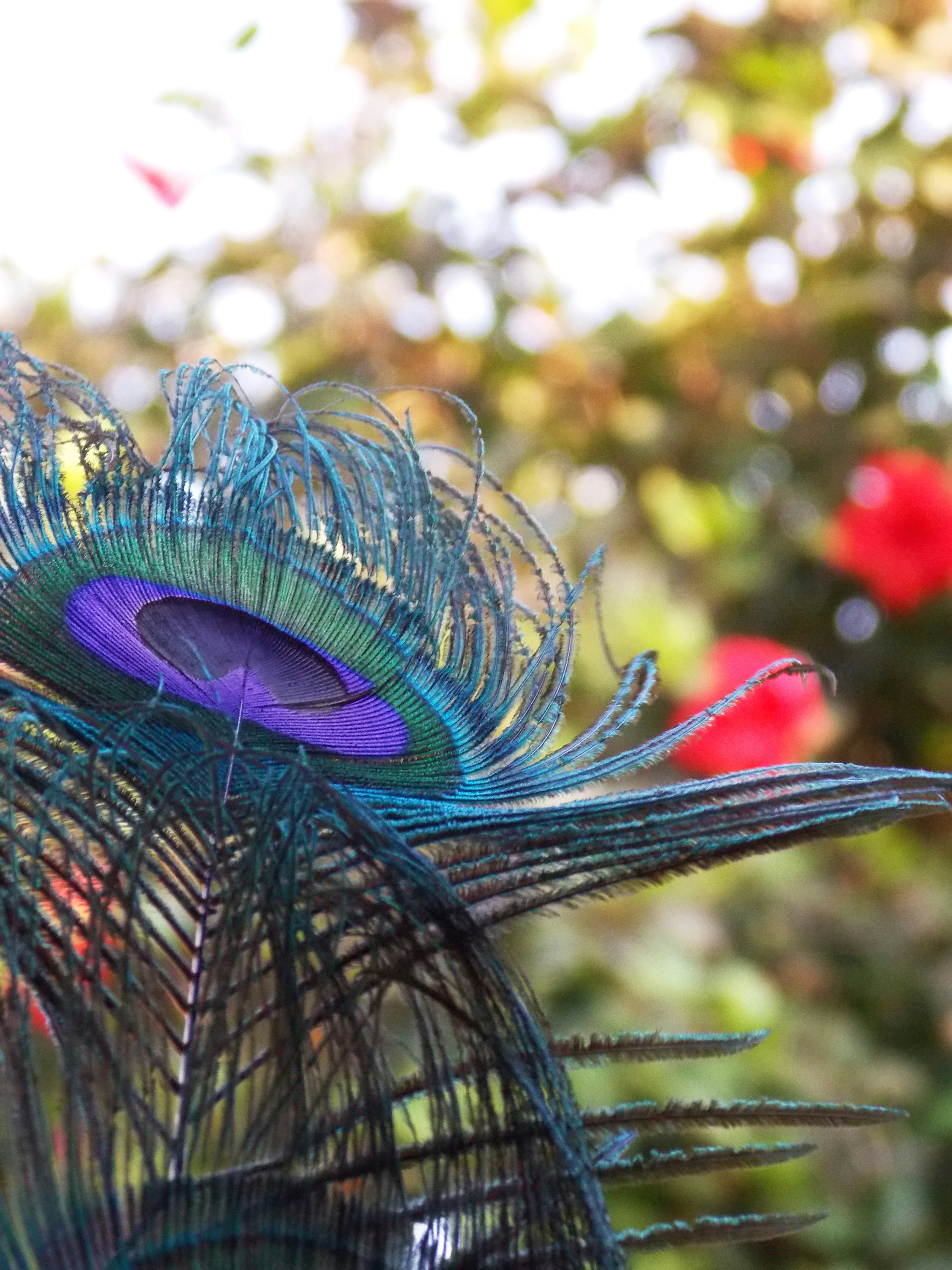 Fragments of light in every color