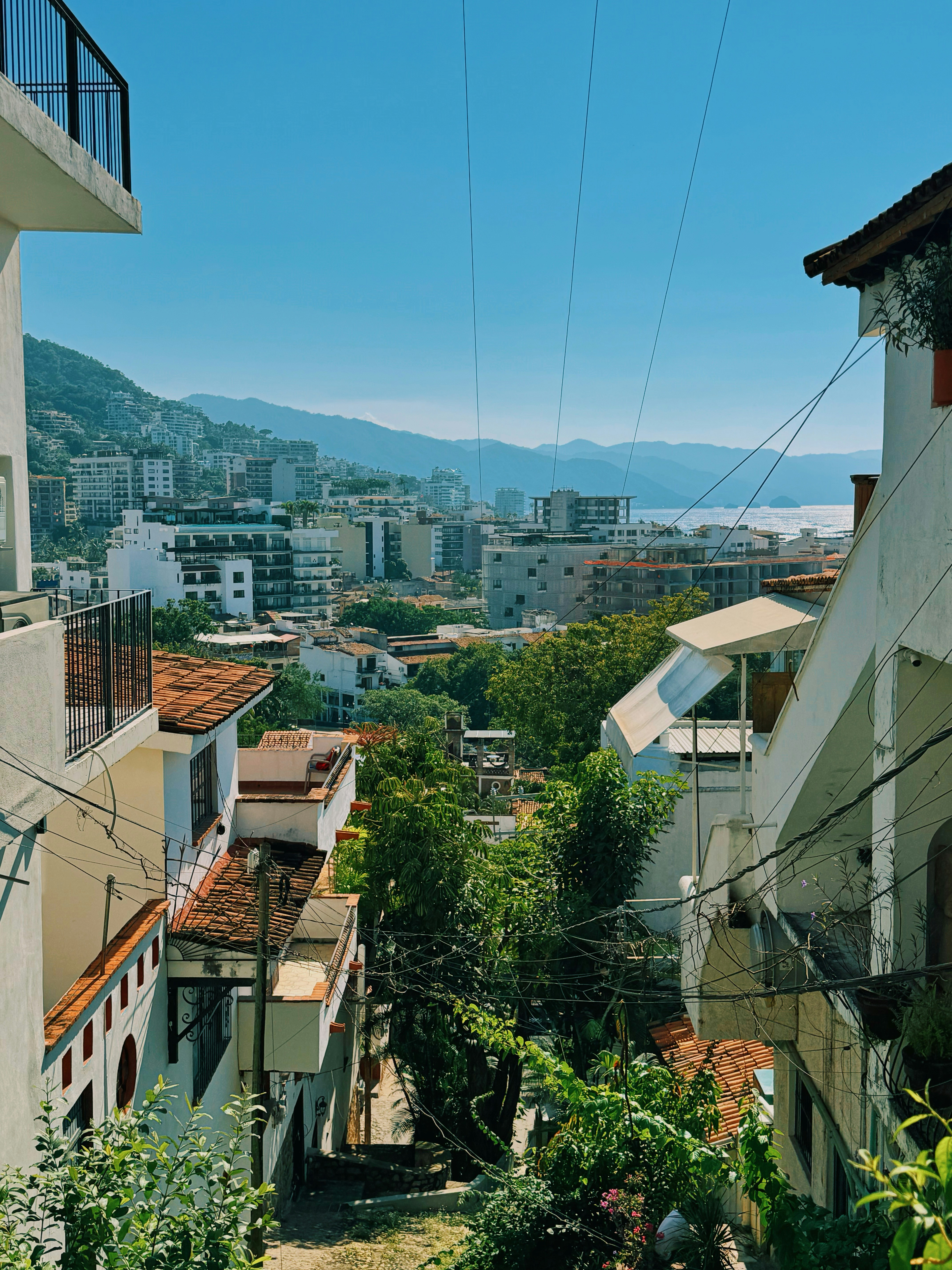 Terraced Cityscape: Rooftops, Greenery, and a Distant Horizon