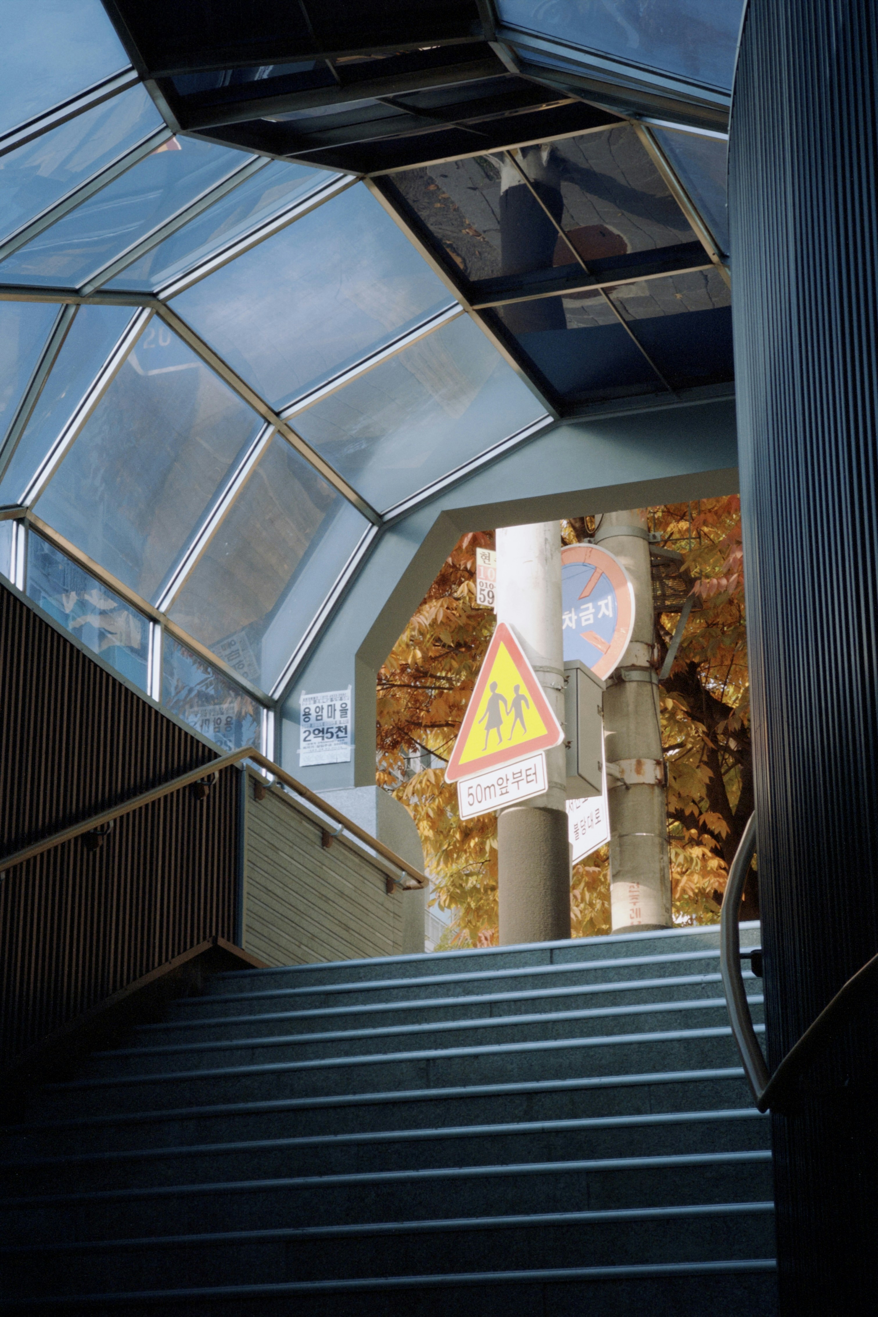 Angles and Atrium: Signage Framed by a Glass Staircase