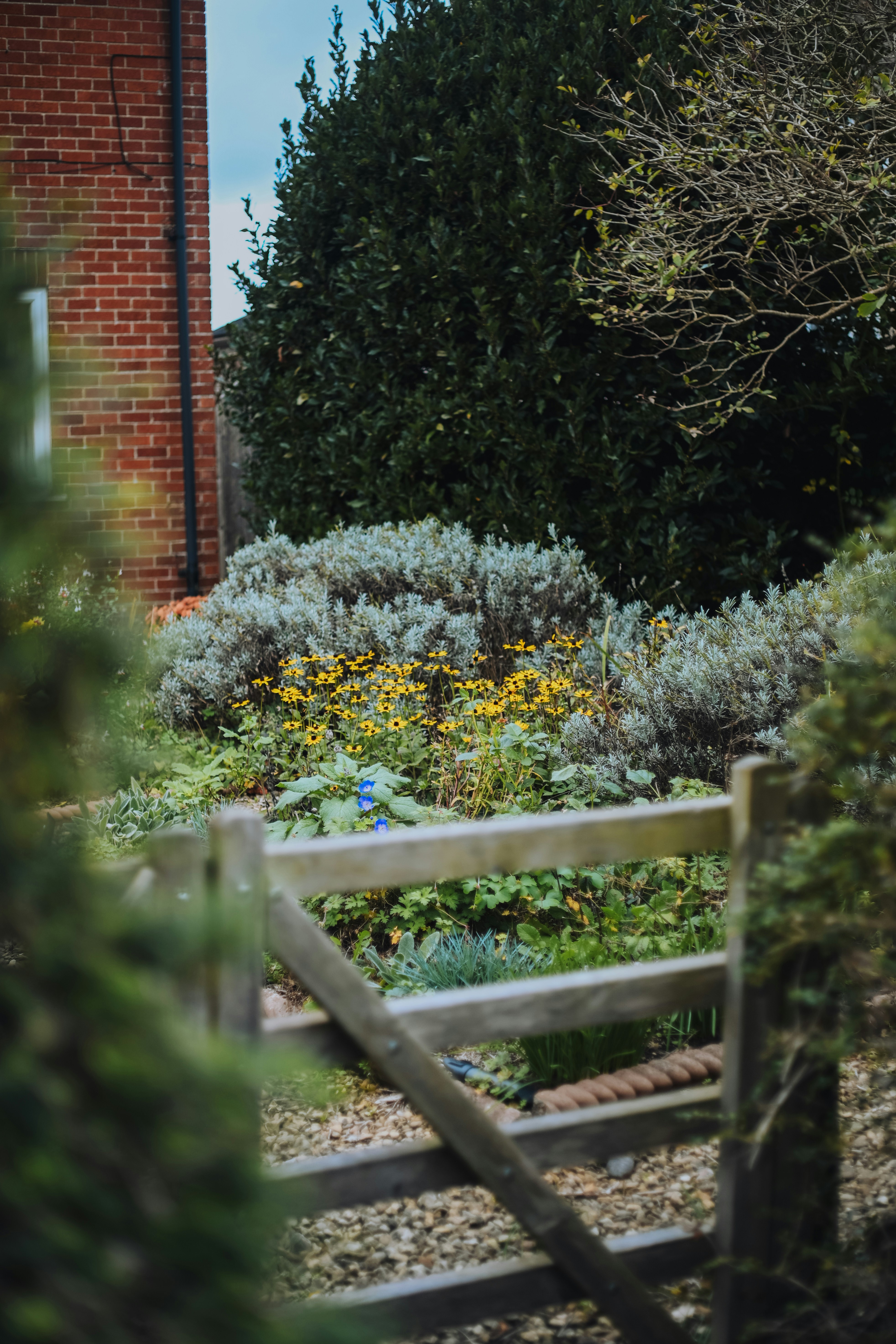 walk around the village