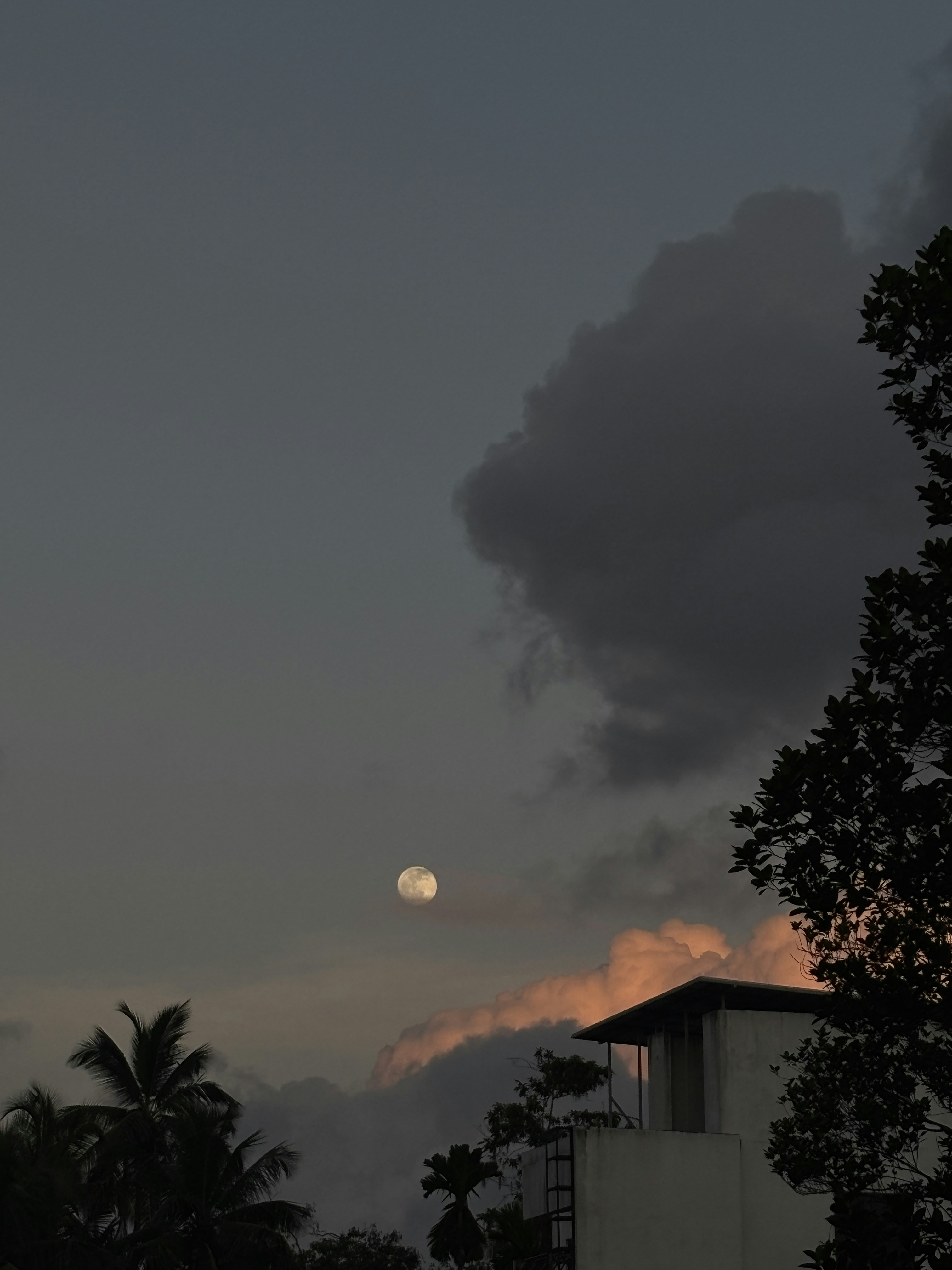 Moonrise Over a Quiet Tropical Rooftop at Dusk