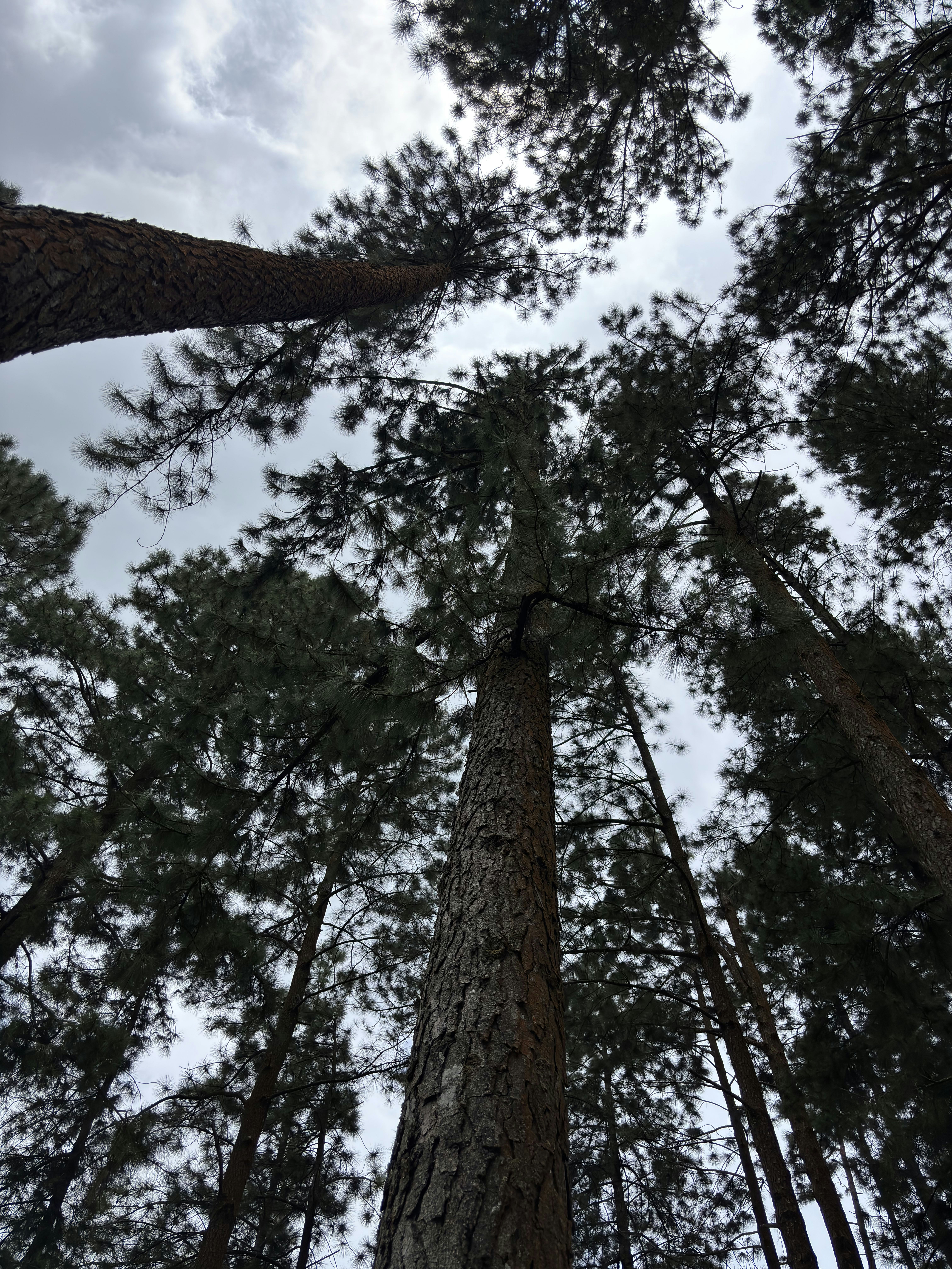 Photo by Sanura Sihath with Apple iPhone 15