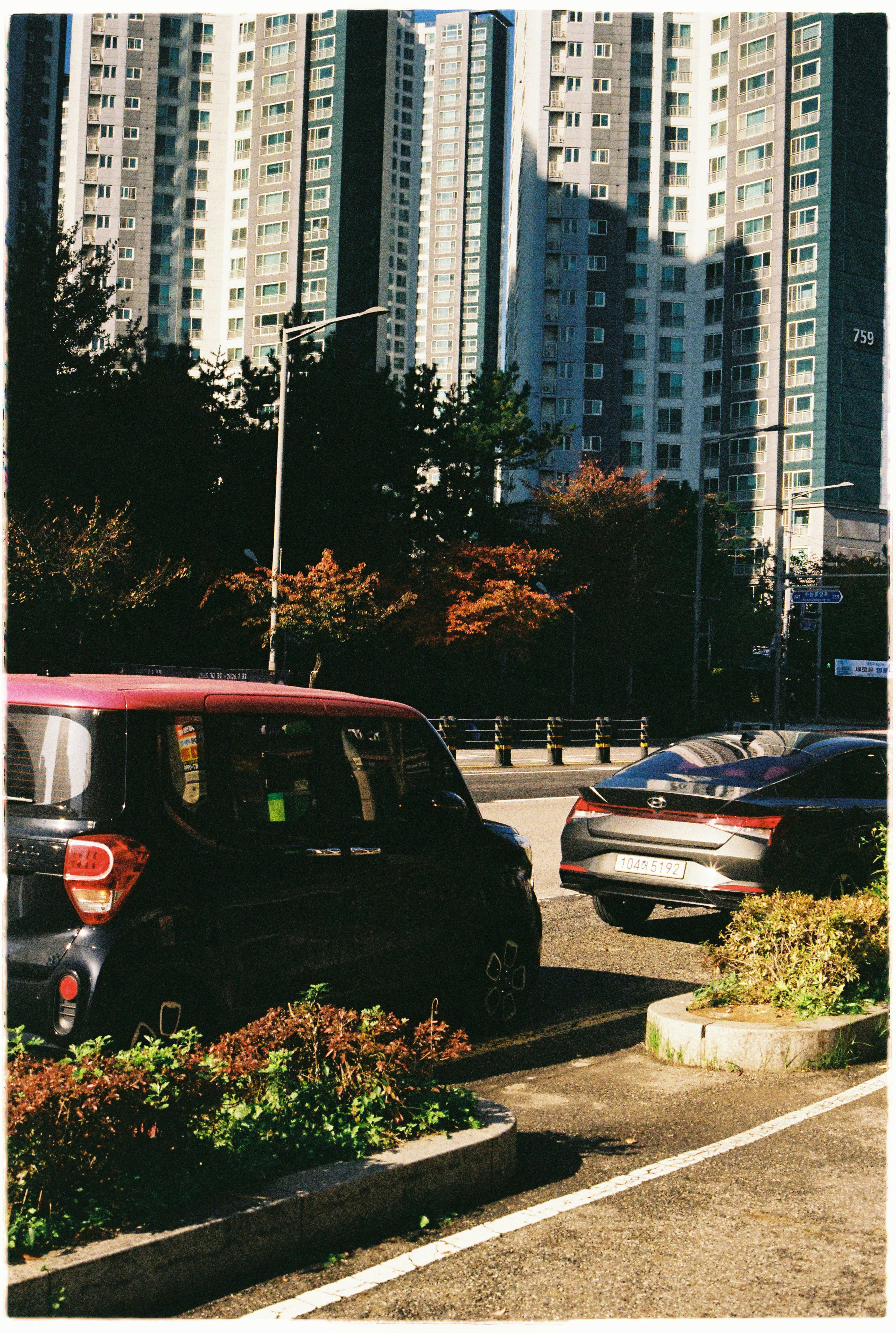 Urban Parked Cars with Skyscraper Backdrop