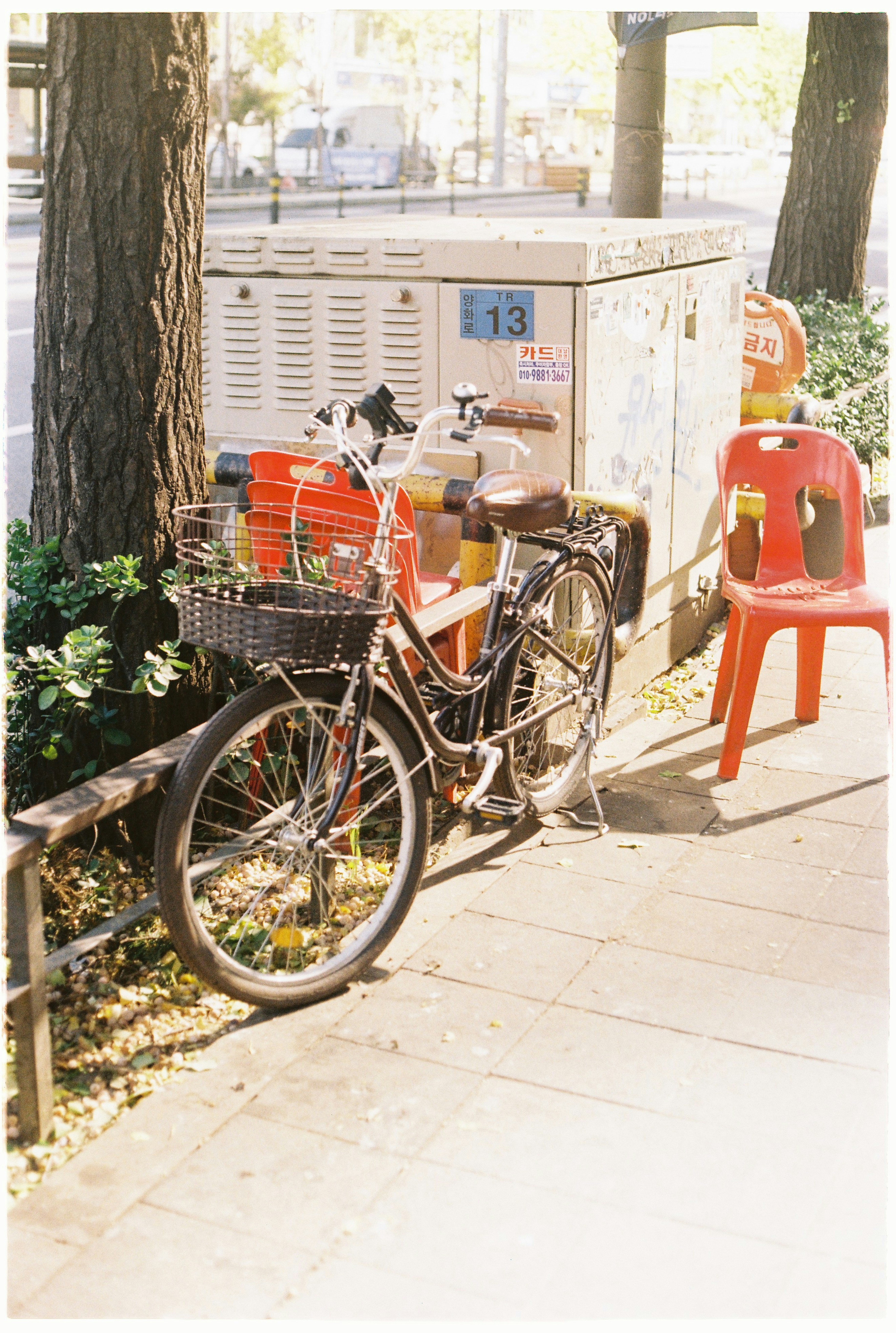 Sunlit Alleyway with Bicycle and Red Chairs