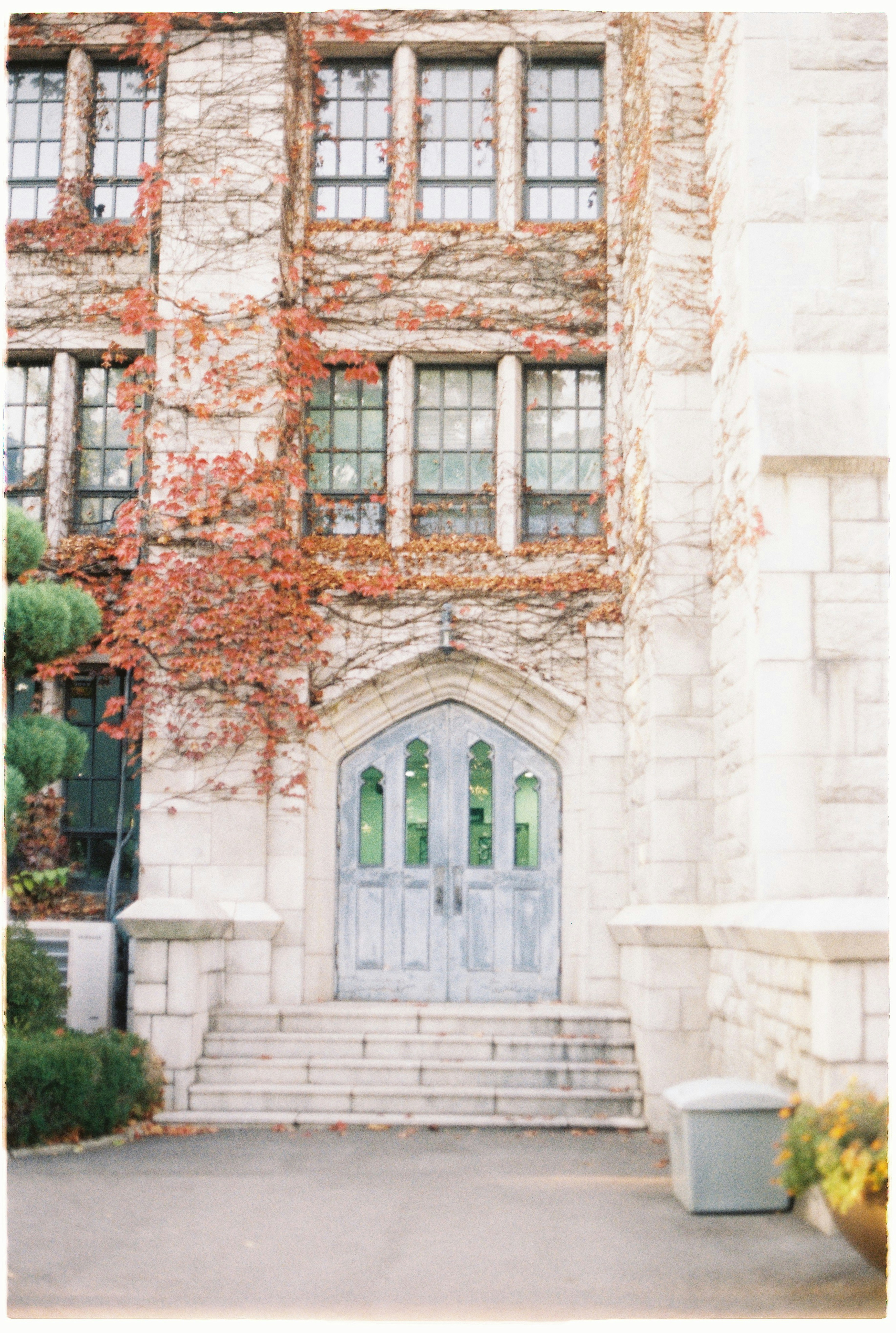 Ivied Archway: A Quiet Campus Doorway Framed by Autumn Vines