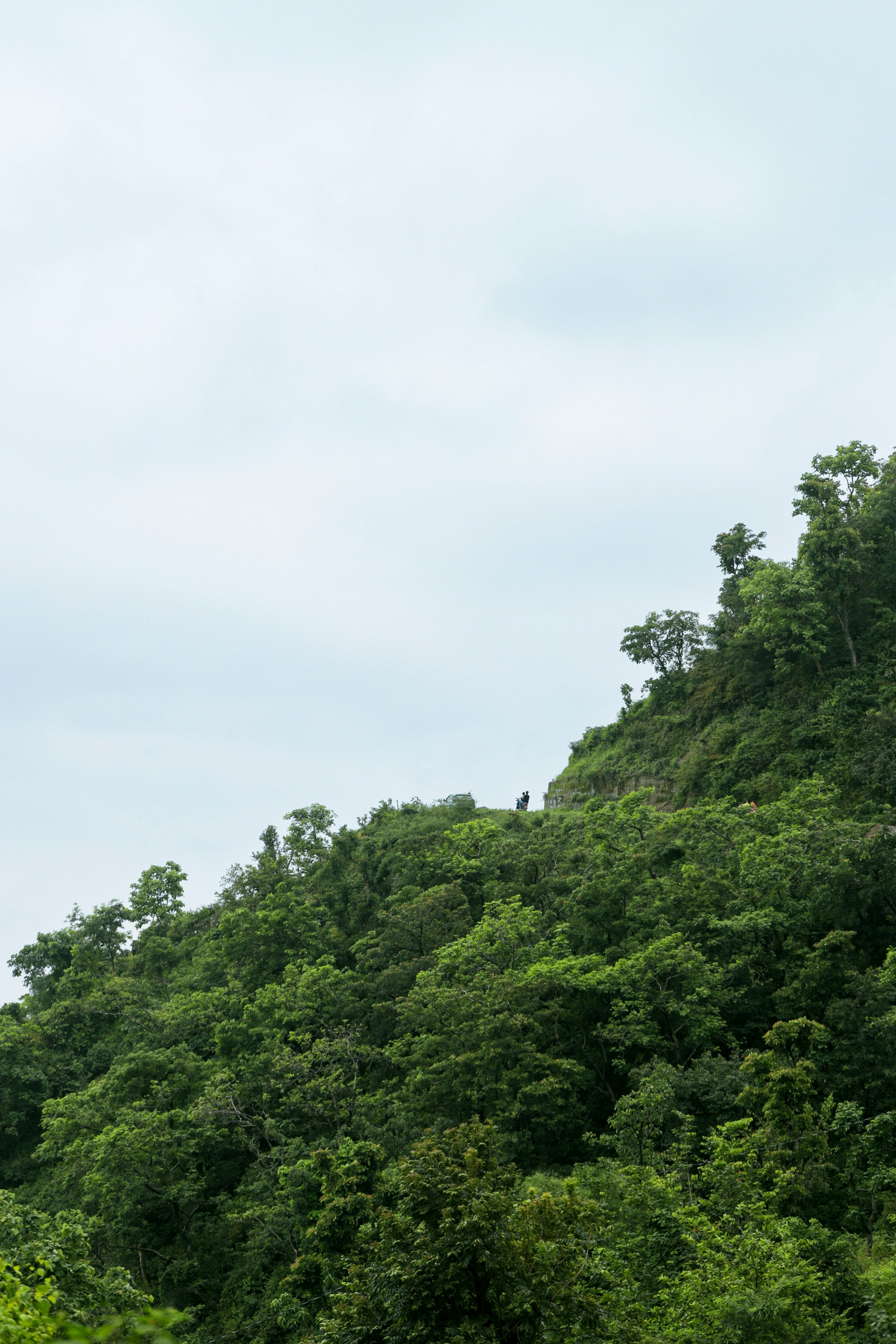 Emerald Ridge: Two Figures Overlooking a Verdant Forest Slope