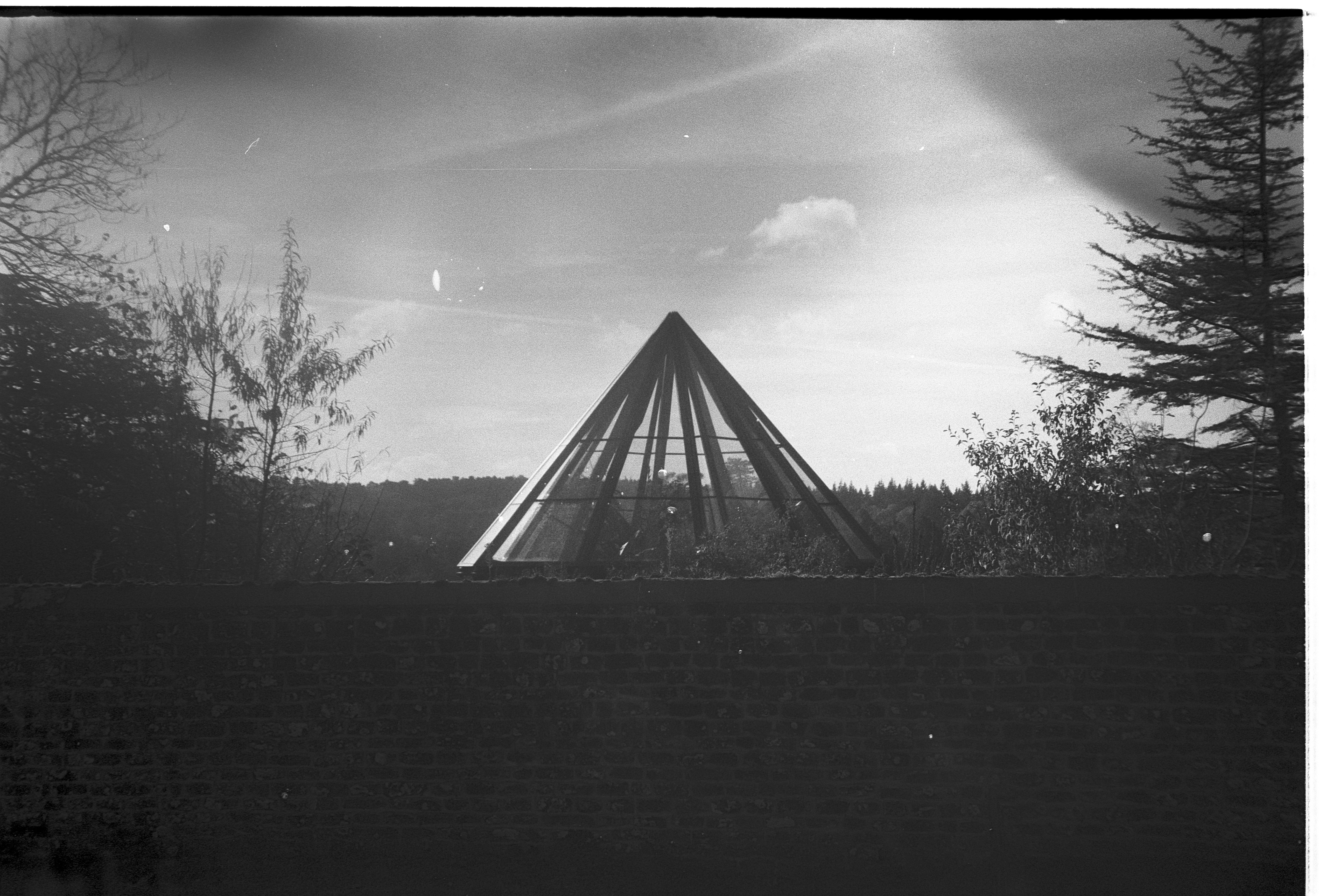 Photo by Tanya Barrow with Plustek OpticFilm 8300i