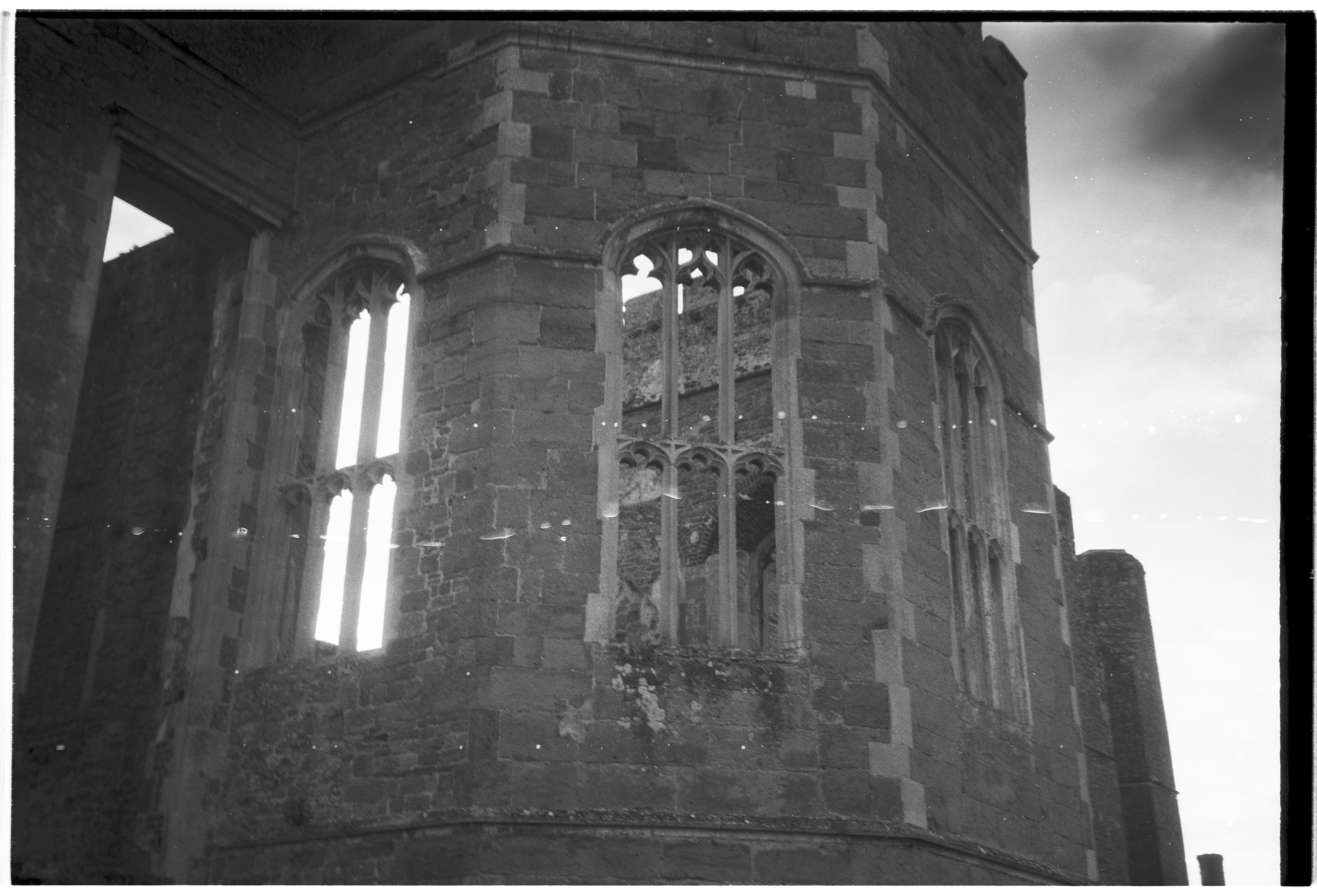 Photo by Tanya Barrow with Plustek OpticFilm 8300i