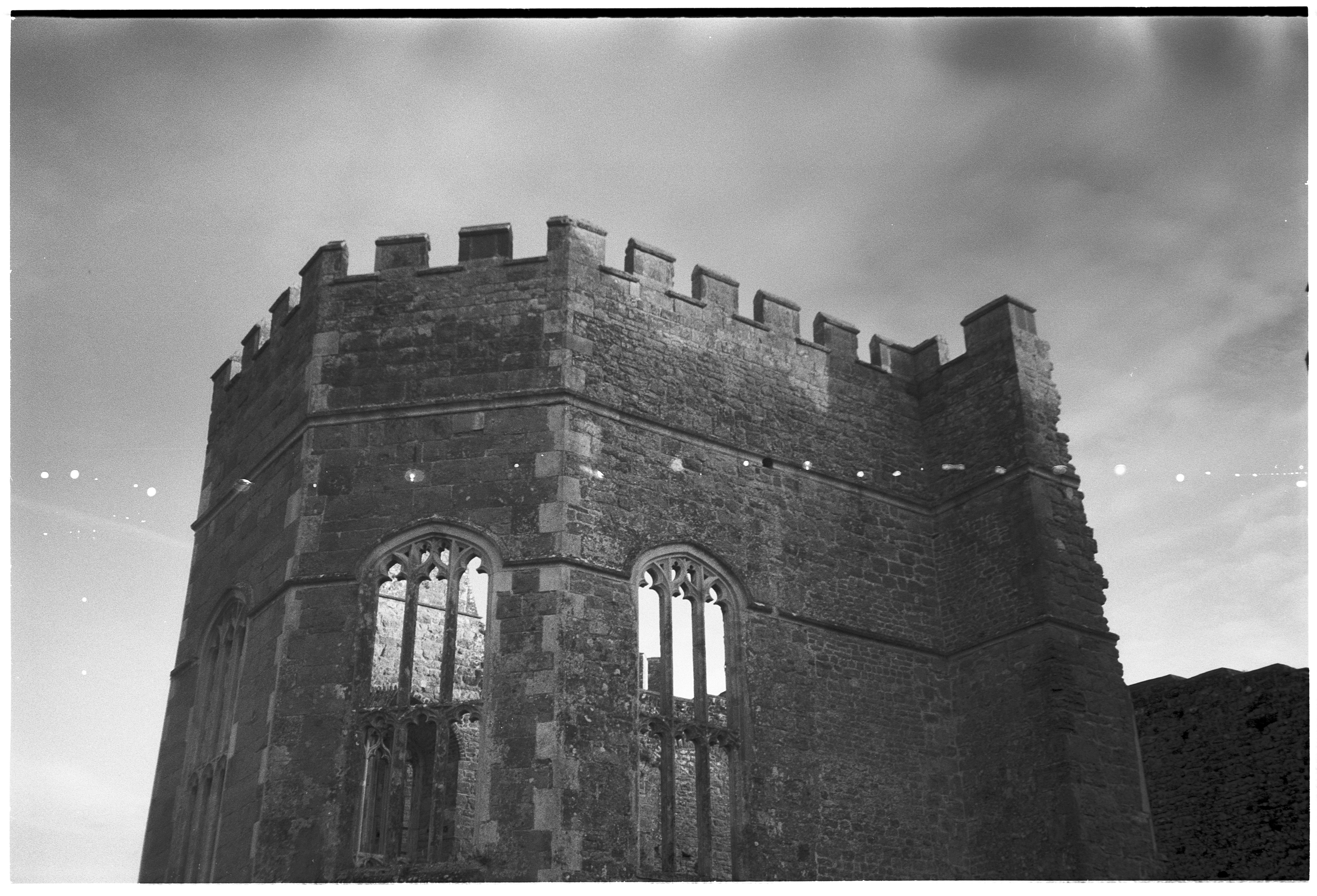 Photo by Tanya Barrow with Plustek OpticFilm 8300i