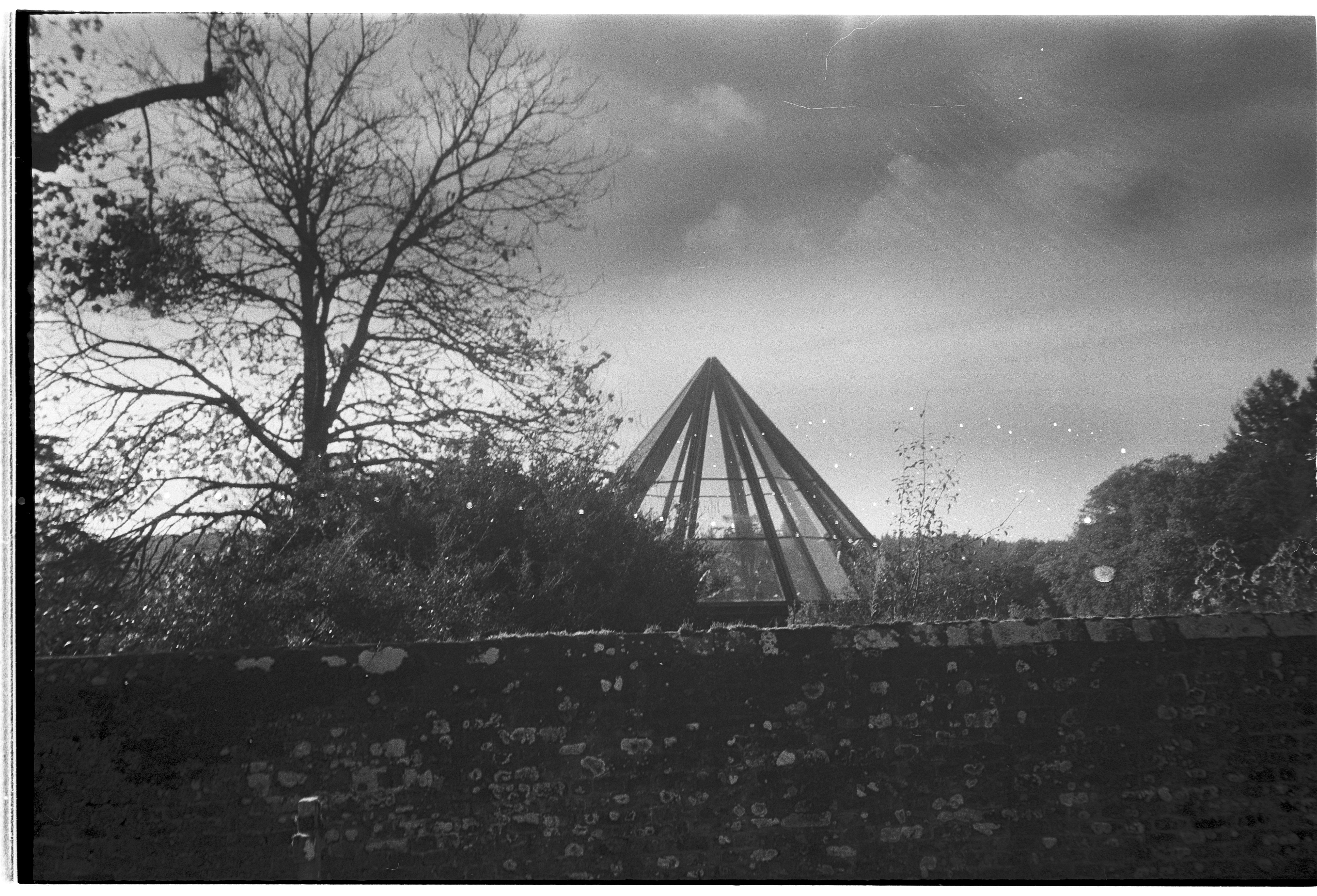 Photo by Tanya Barrow with Plustek OpticFilm 8300i