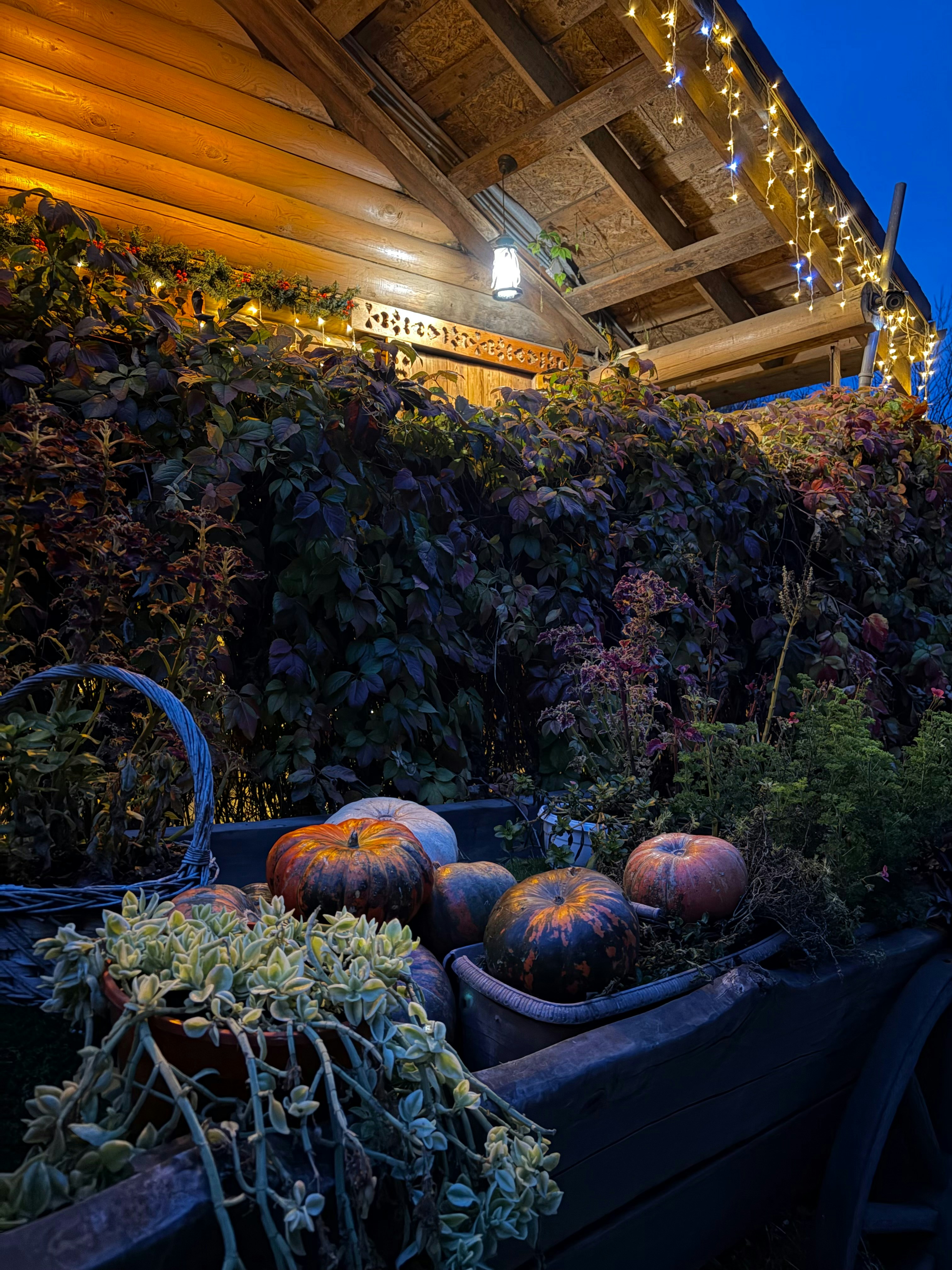 Sample photo from Apple iPhone 17