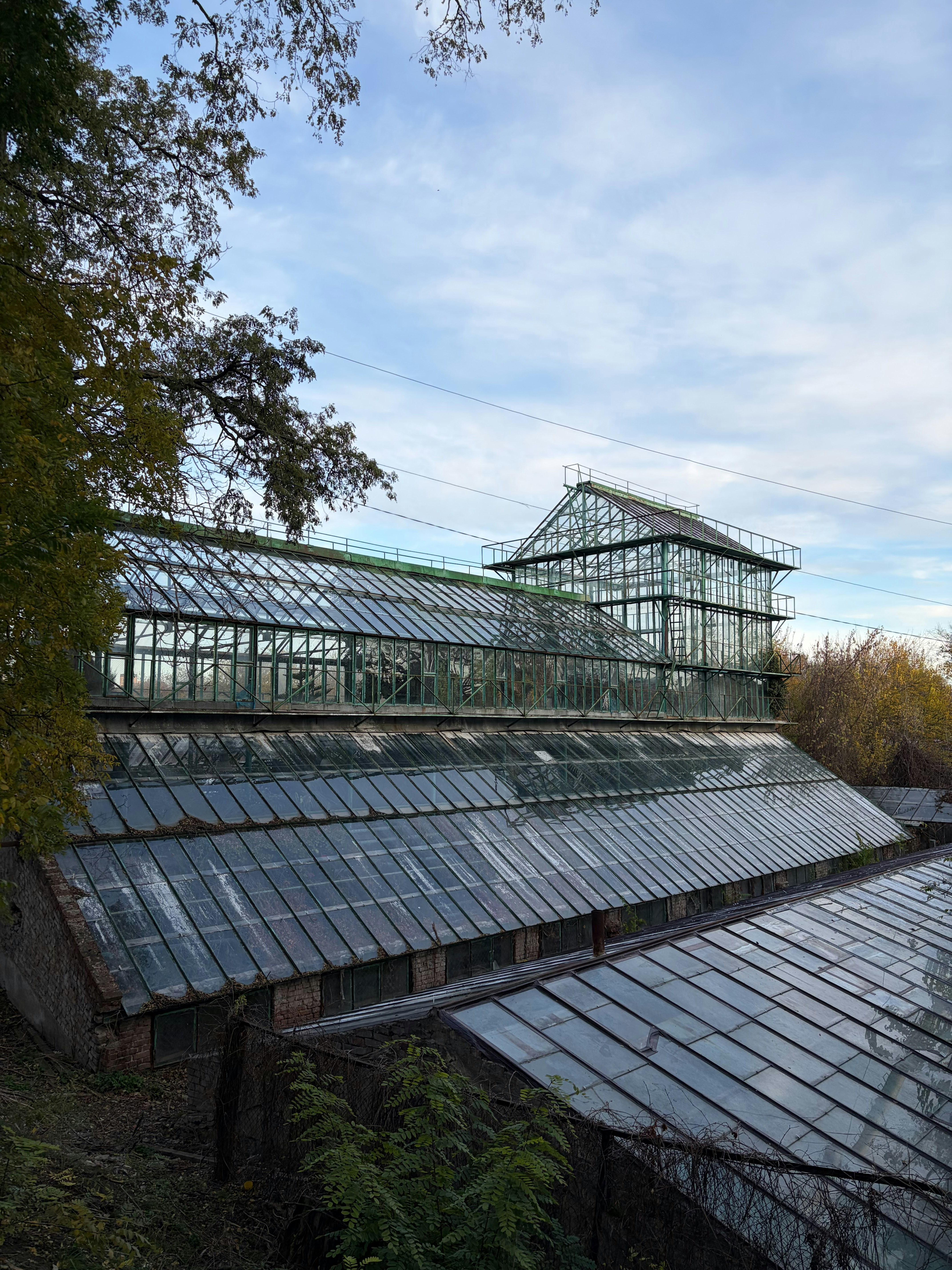 Photo by Valeriia Andreeva with Apple iPhone 17