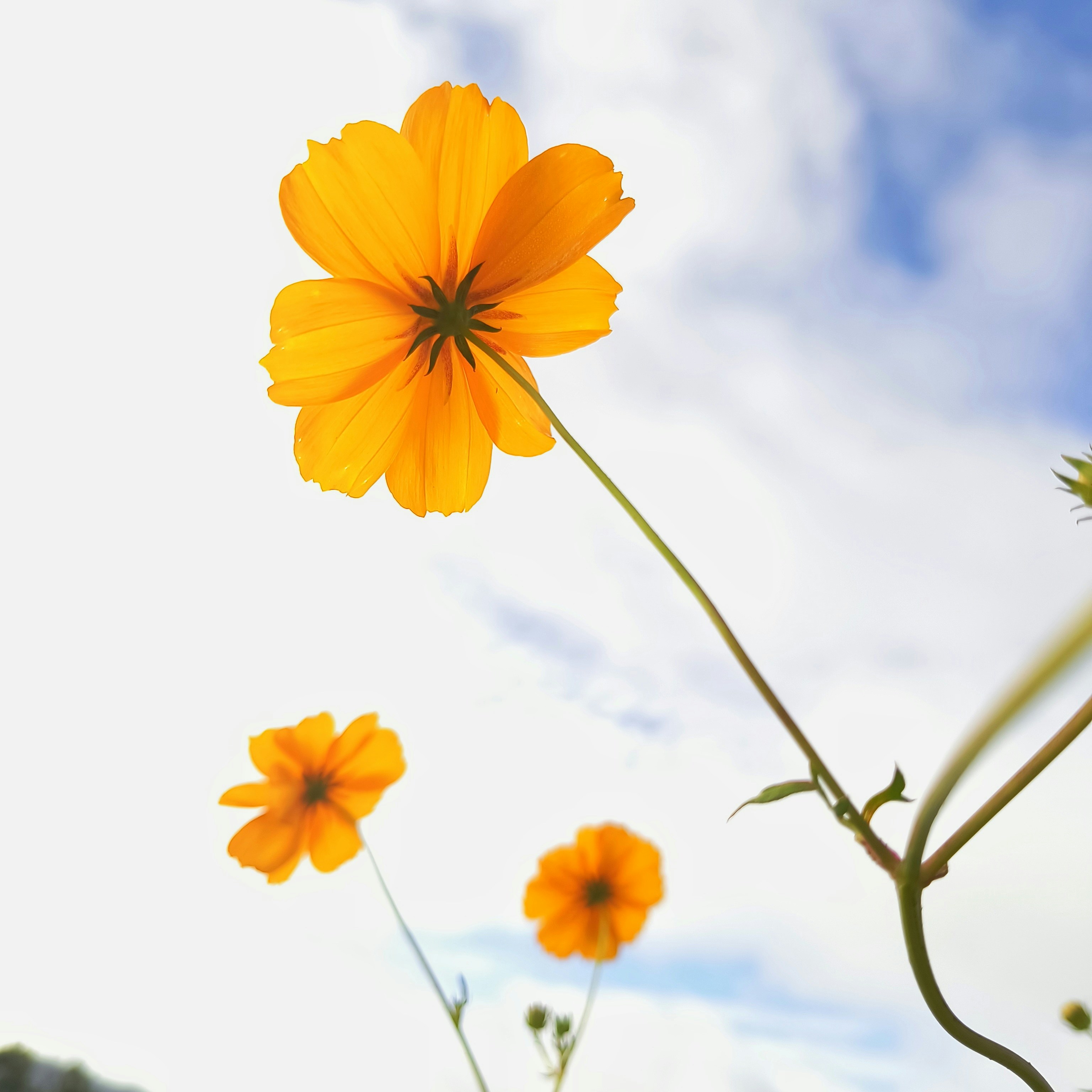 Photo by Yashodhan Mohite with Motorola Edge 40 Neo