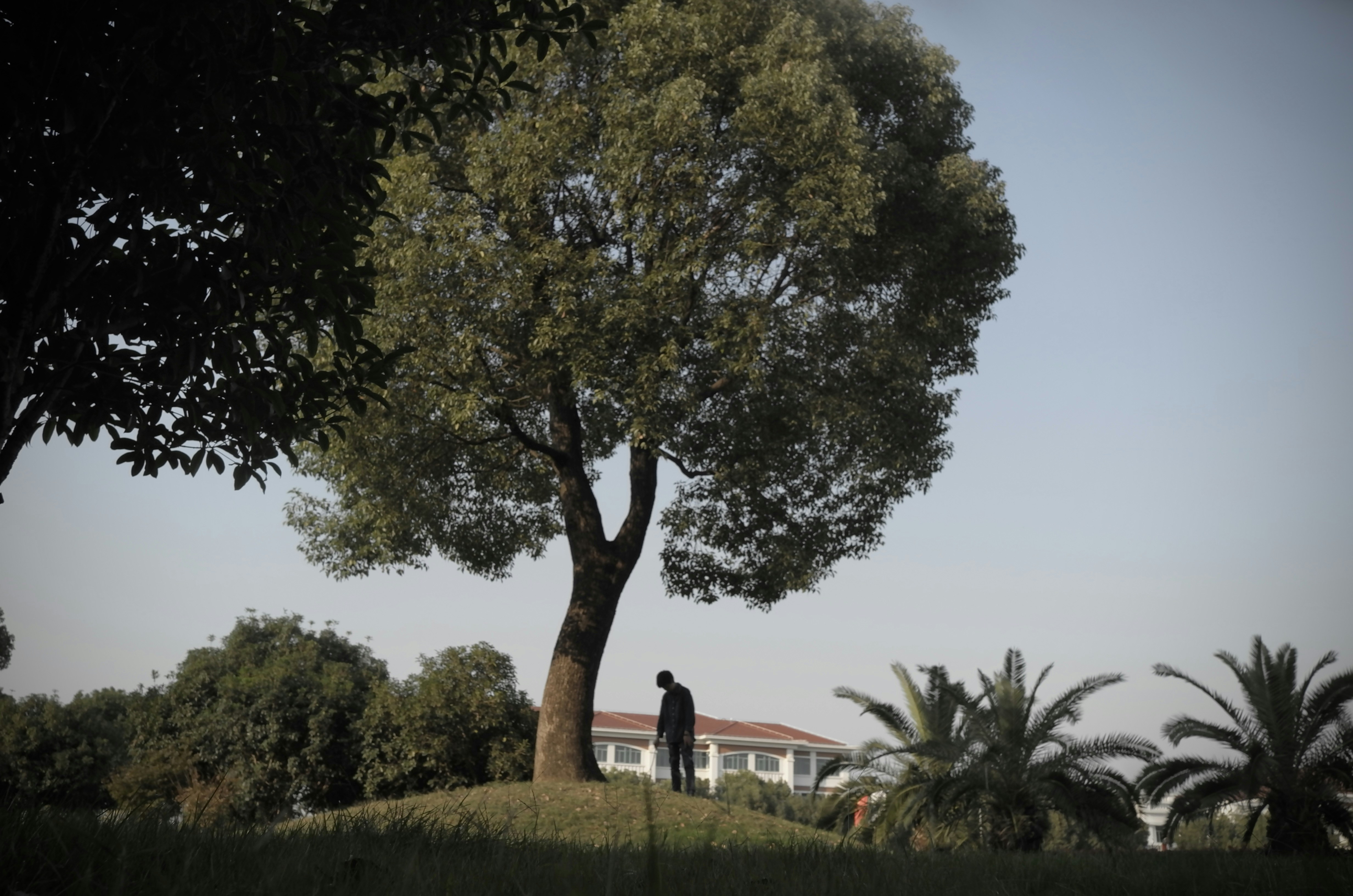 Photo by Milamos with Leica X (Typ 113)