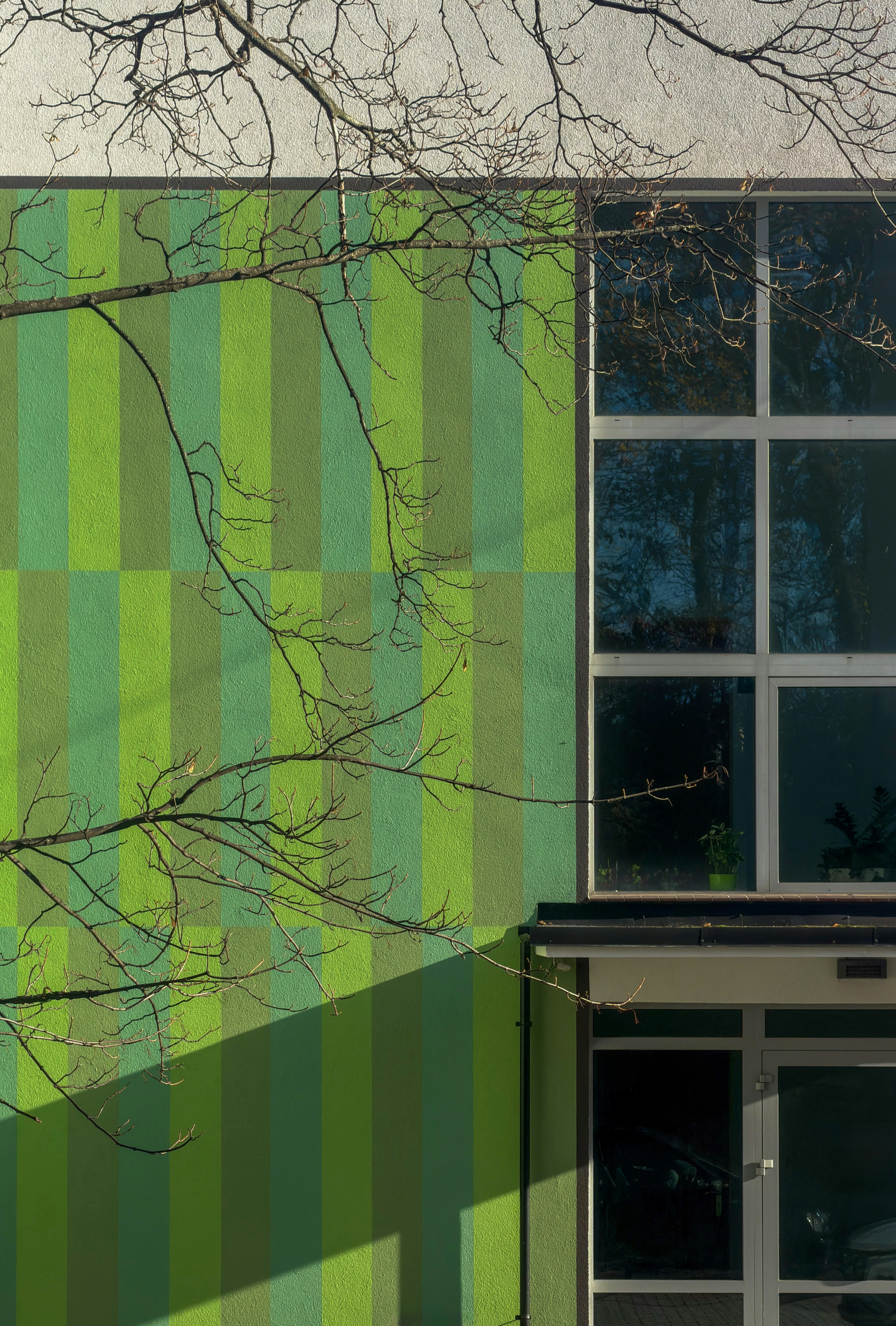 Green striped wall meets glass facade under leafless branches