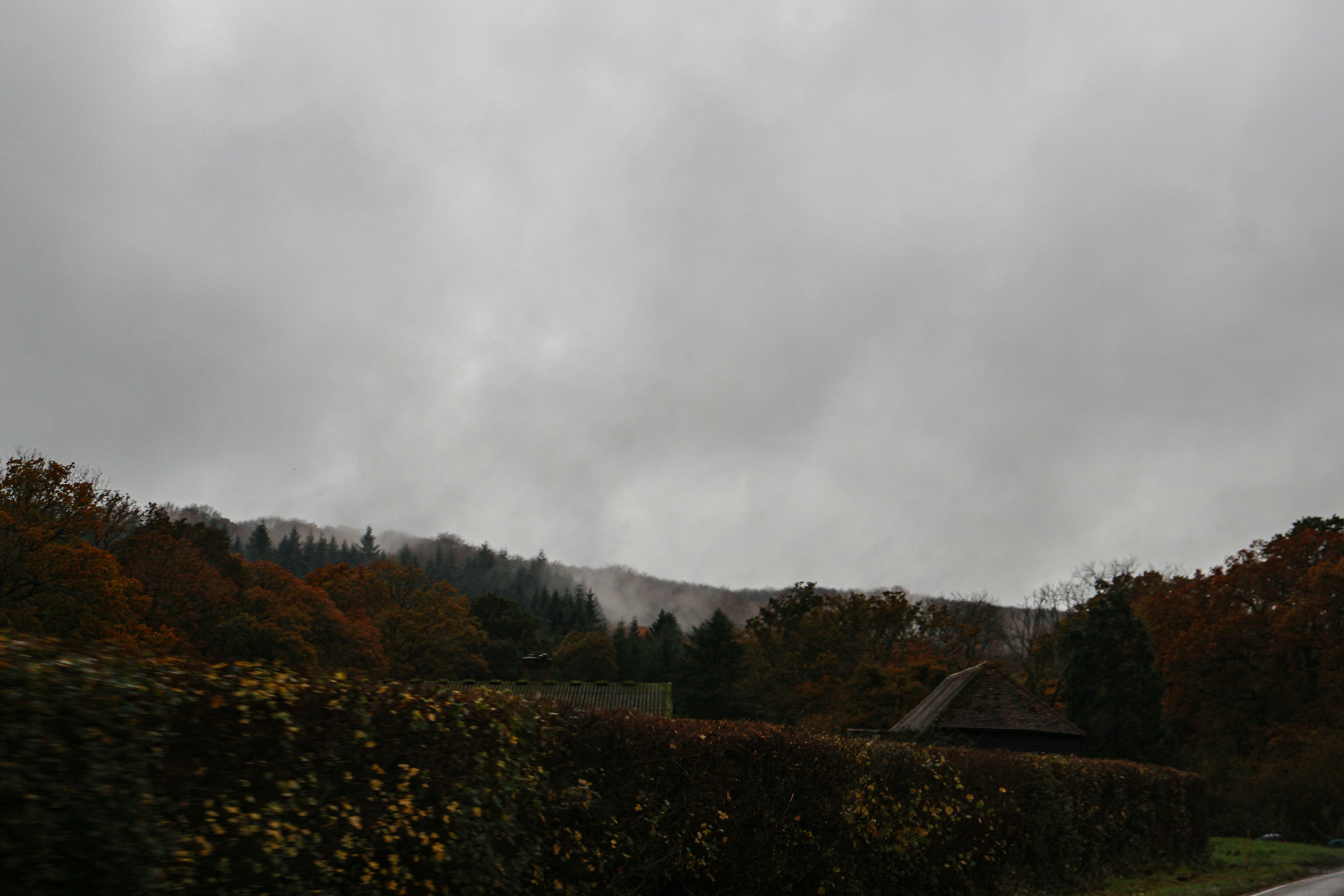 Autumn Haze Over a Quiet Hedge and Roofline