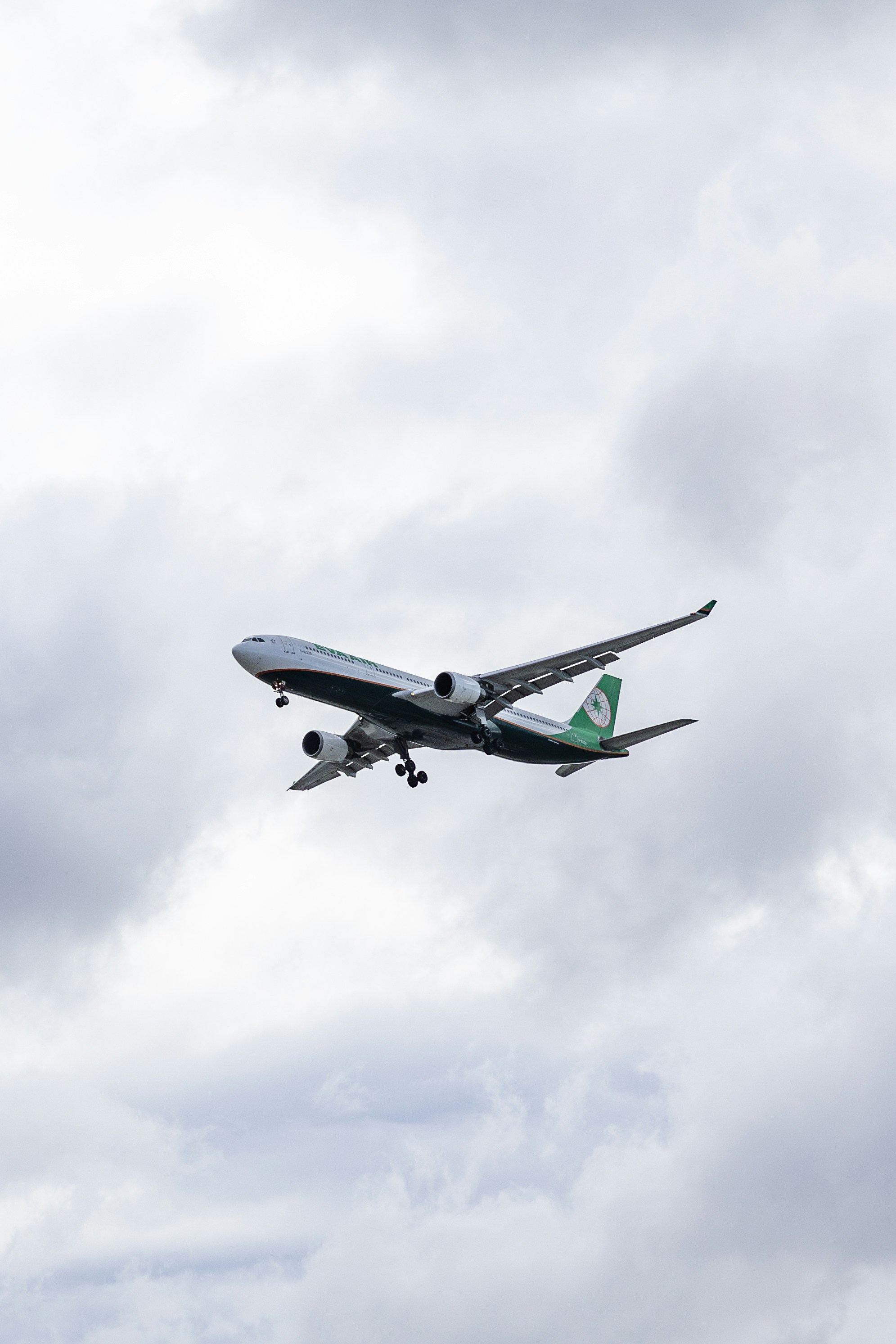 Emerald Tail Against Cloudscape: A Quiet Jet Climb