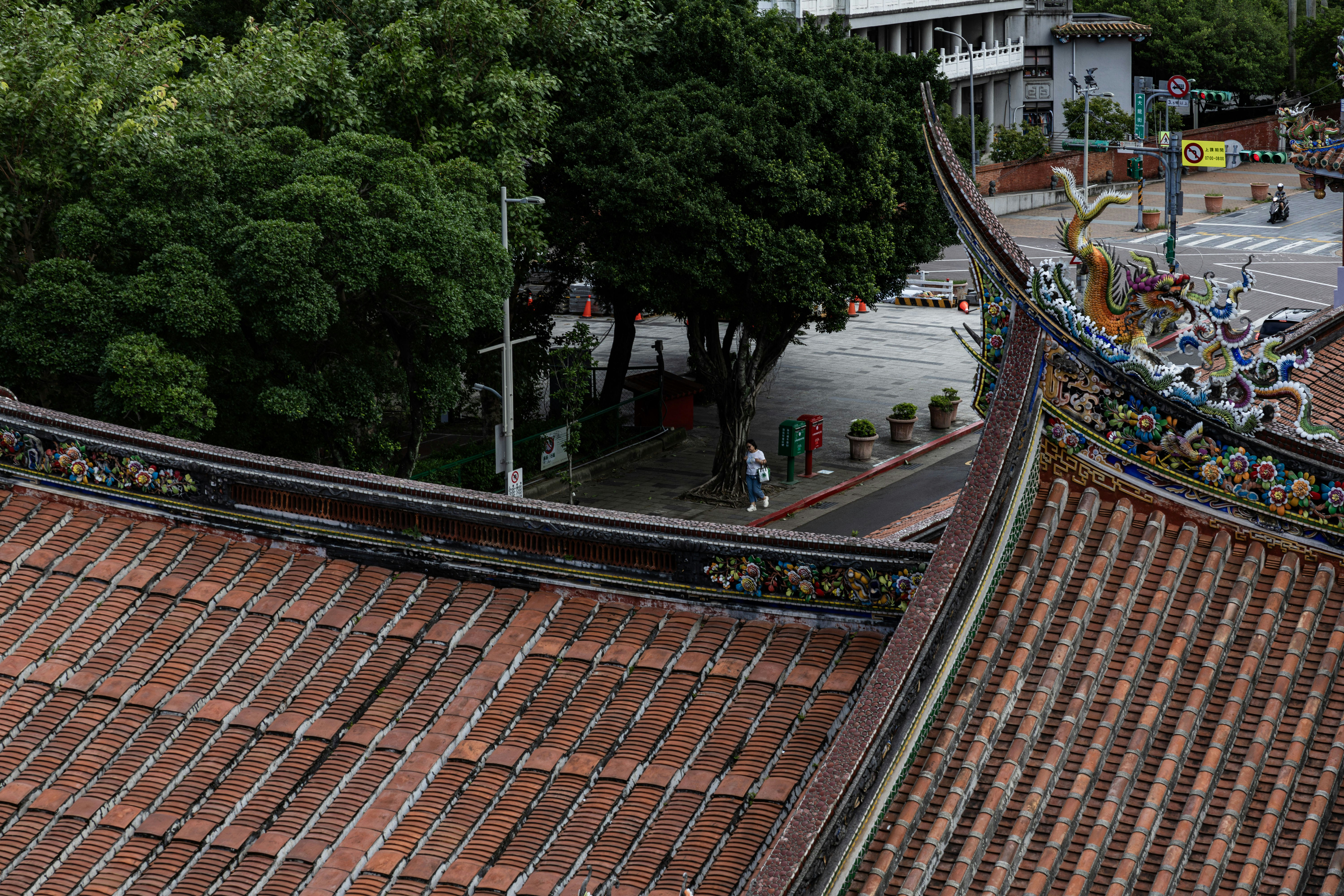 Dragon Ridge on a Tile Roof Overlooking a Tree-Lined Street