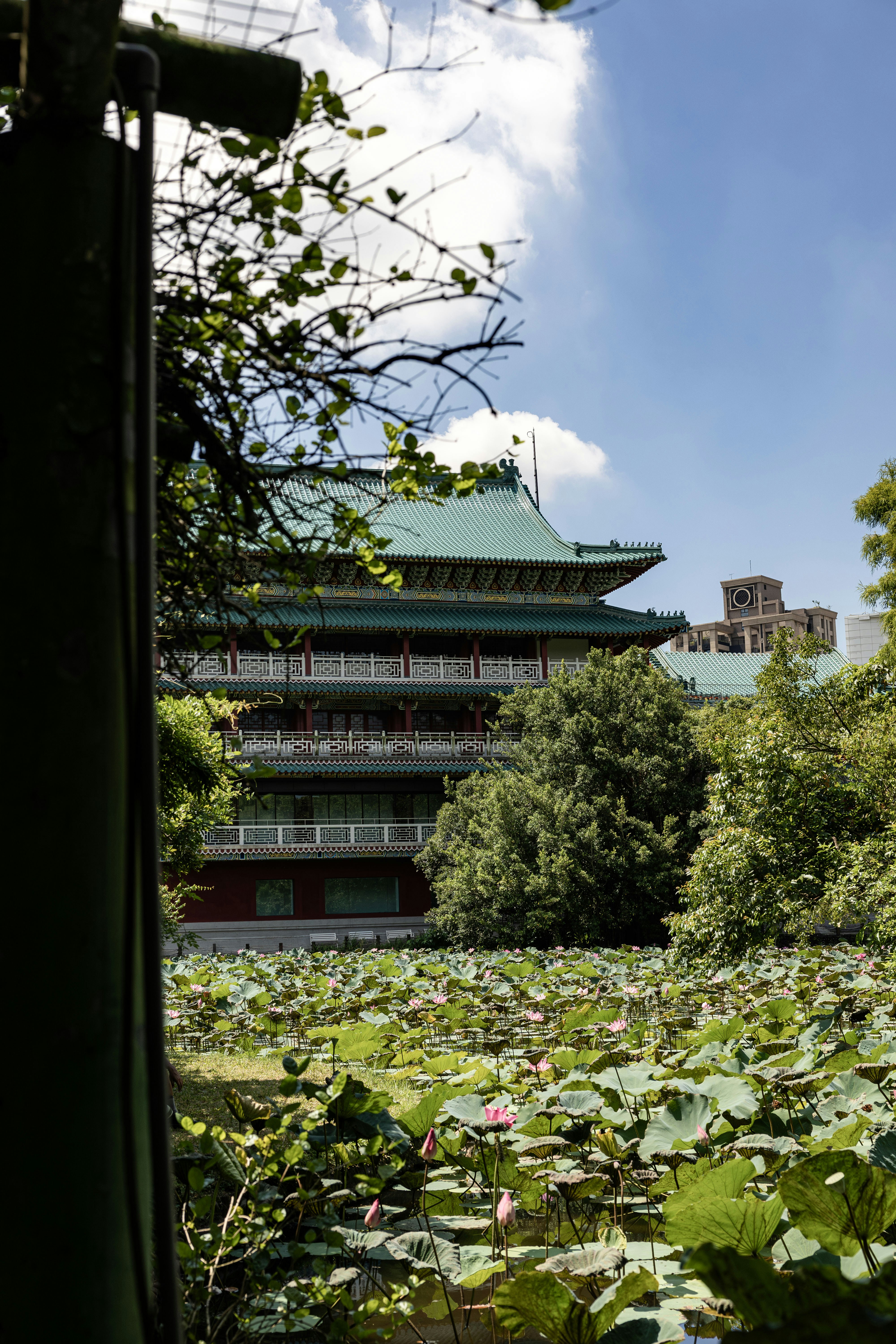 Green-Tiled Pagoda Emerges Over a Lotus-Pond in a City Garden
