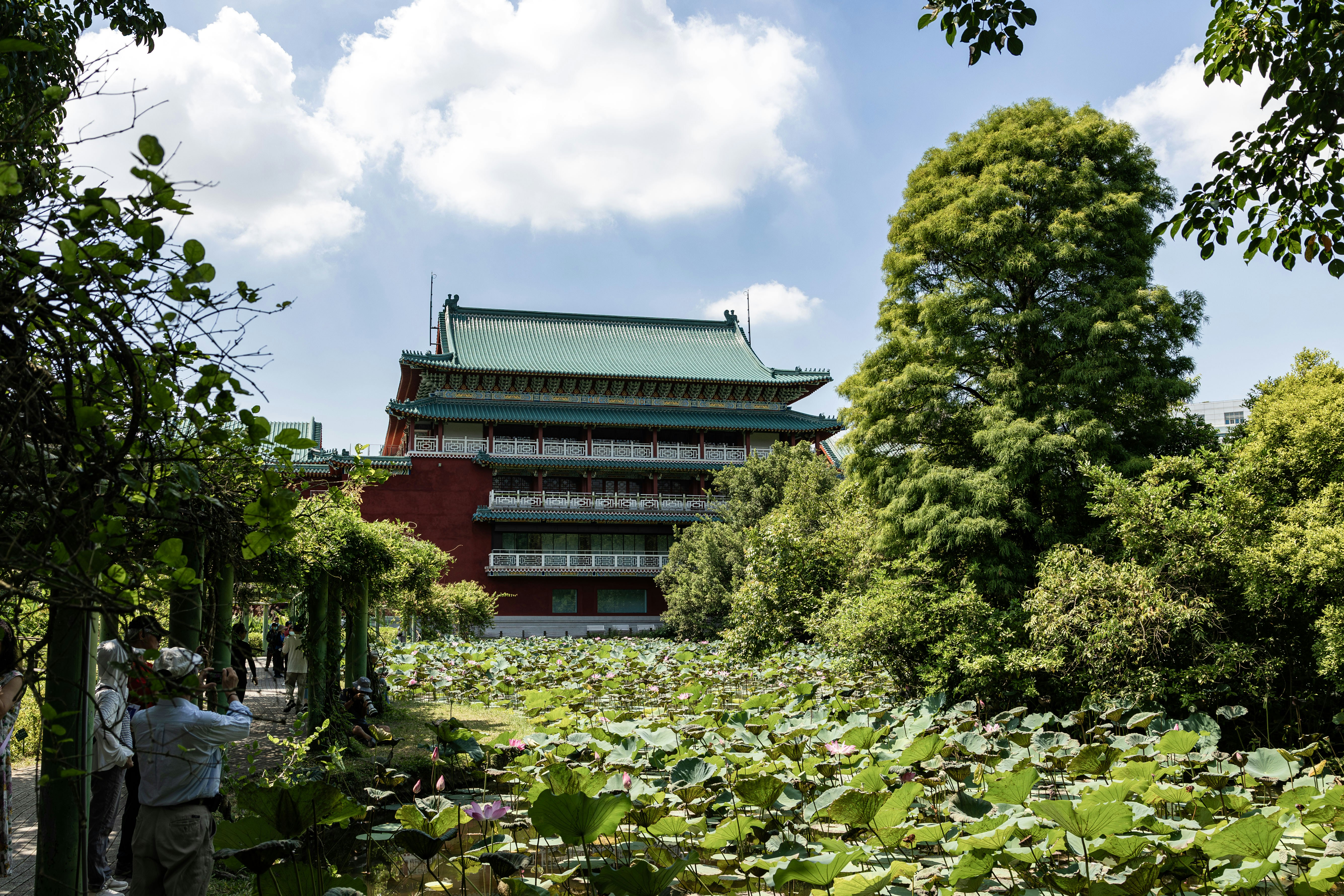 Pagoda Beyond the Lotus Pond: A Quiet Temple Garden in Full Light