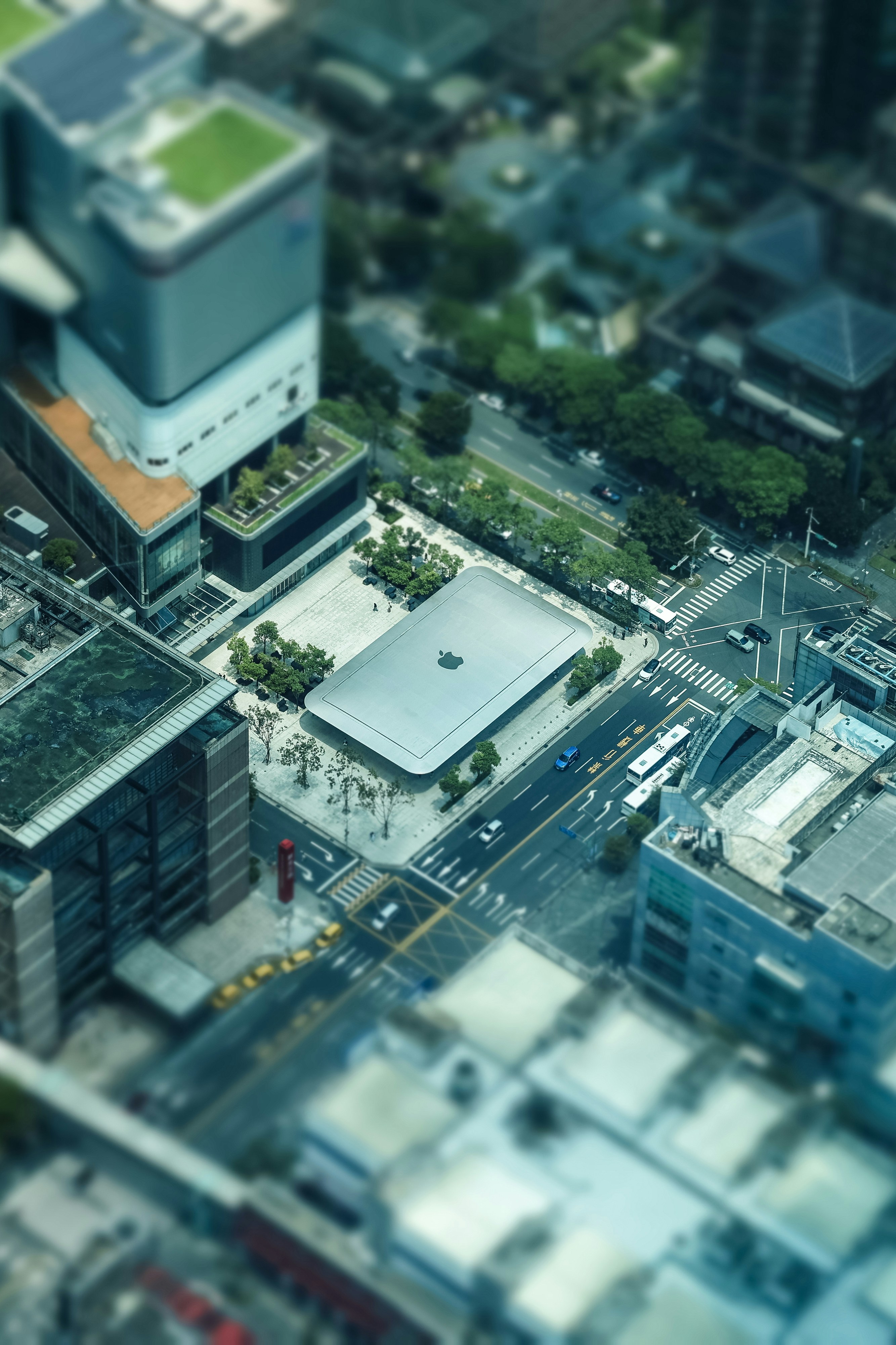 Photo by Maxim Klimashin with Canon EOS R6 Mark II