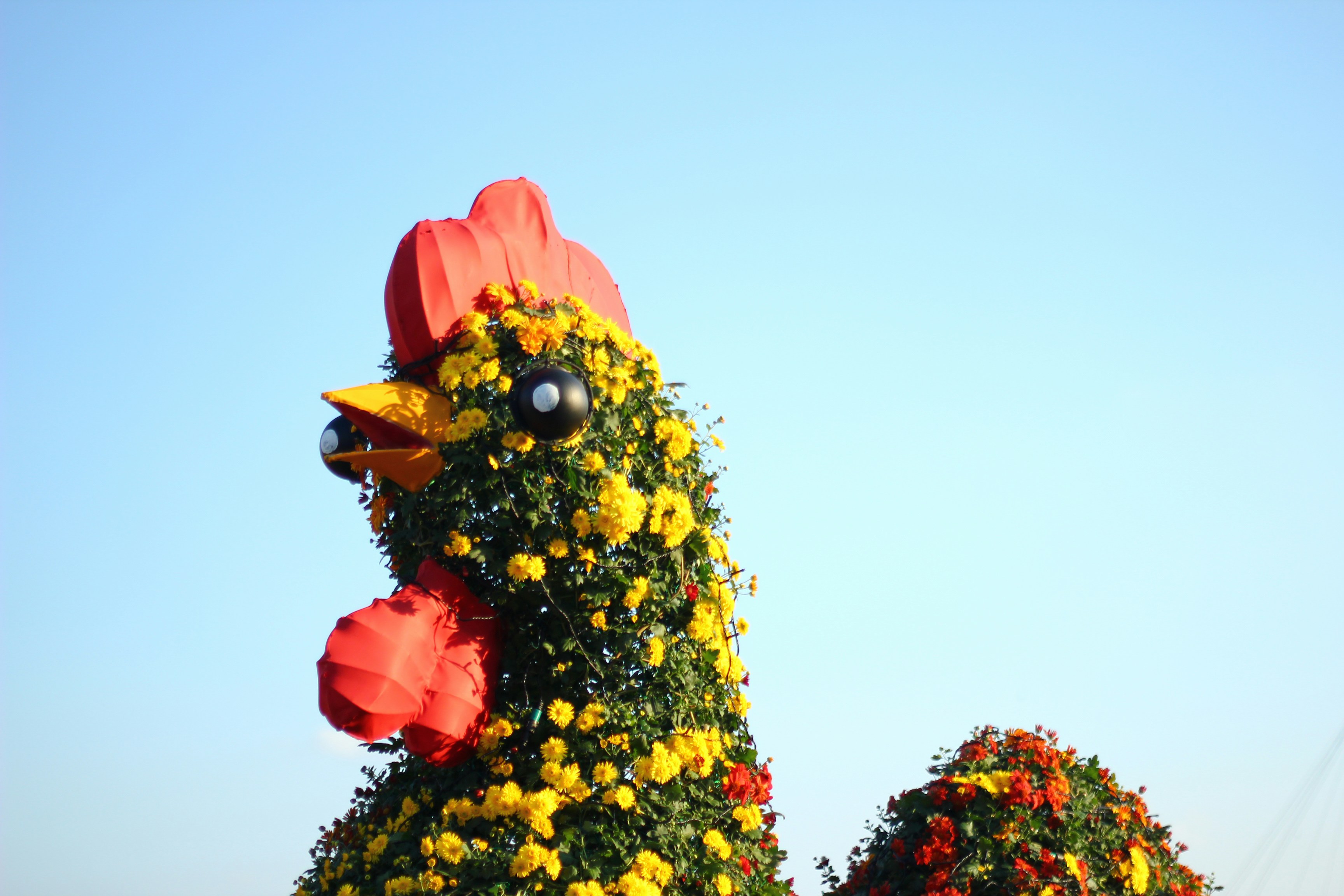 Photo by Bimda W with Canon EOS 550D