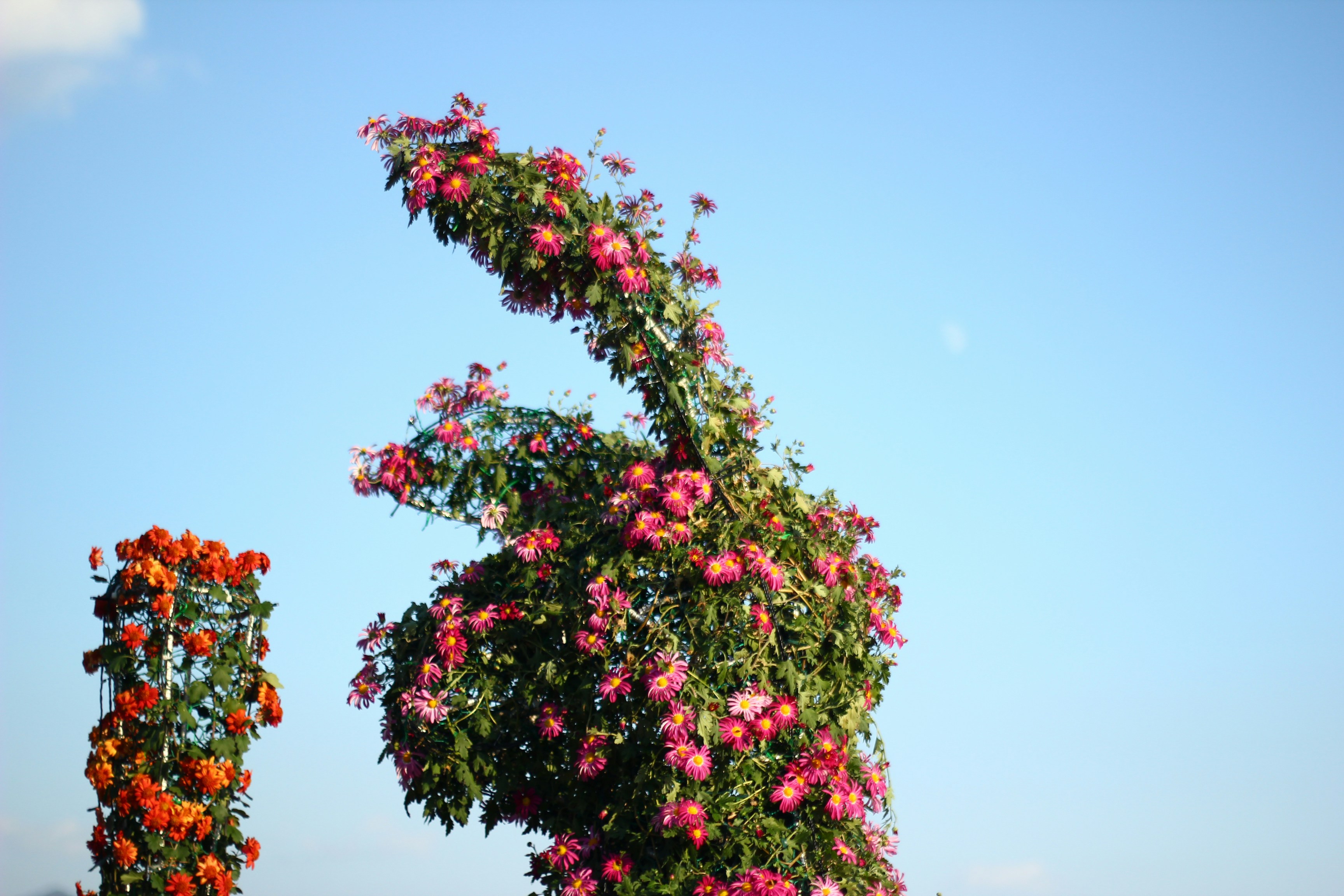 Photo by Bimda W with Canon EOS 550D