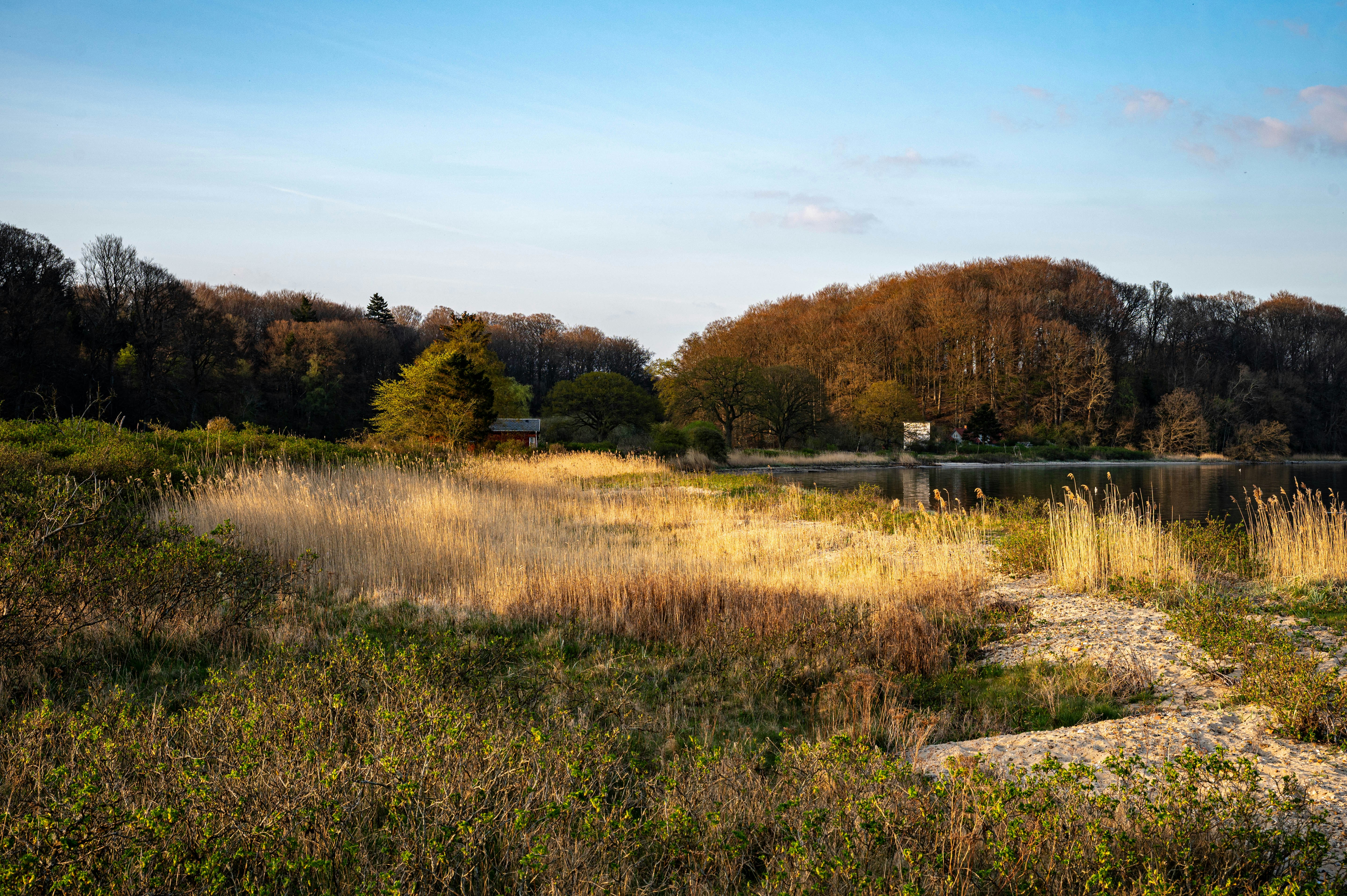 Photo by Christian Loch with Nikon Z6 II