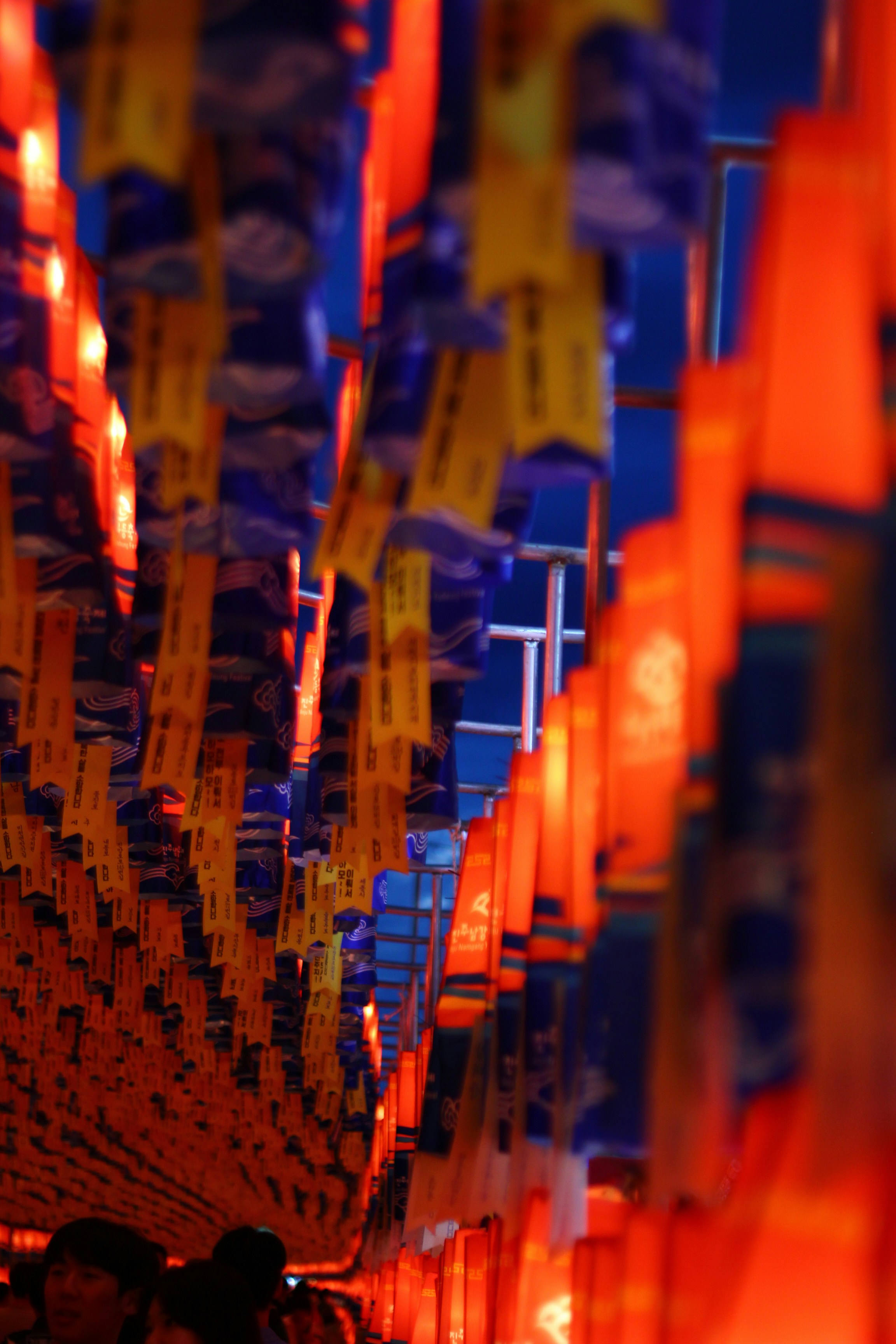 Photo by Bimda W with Canon EOS 550D