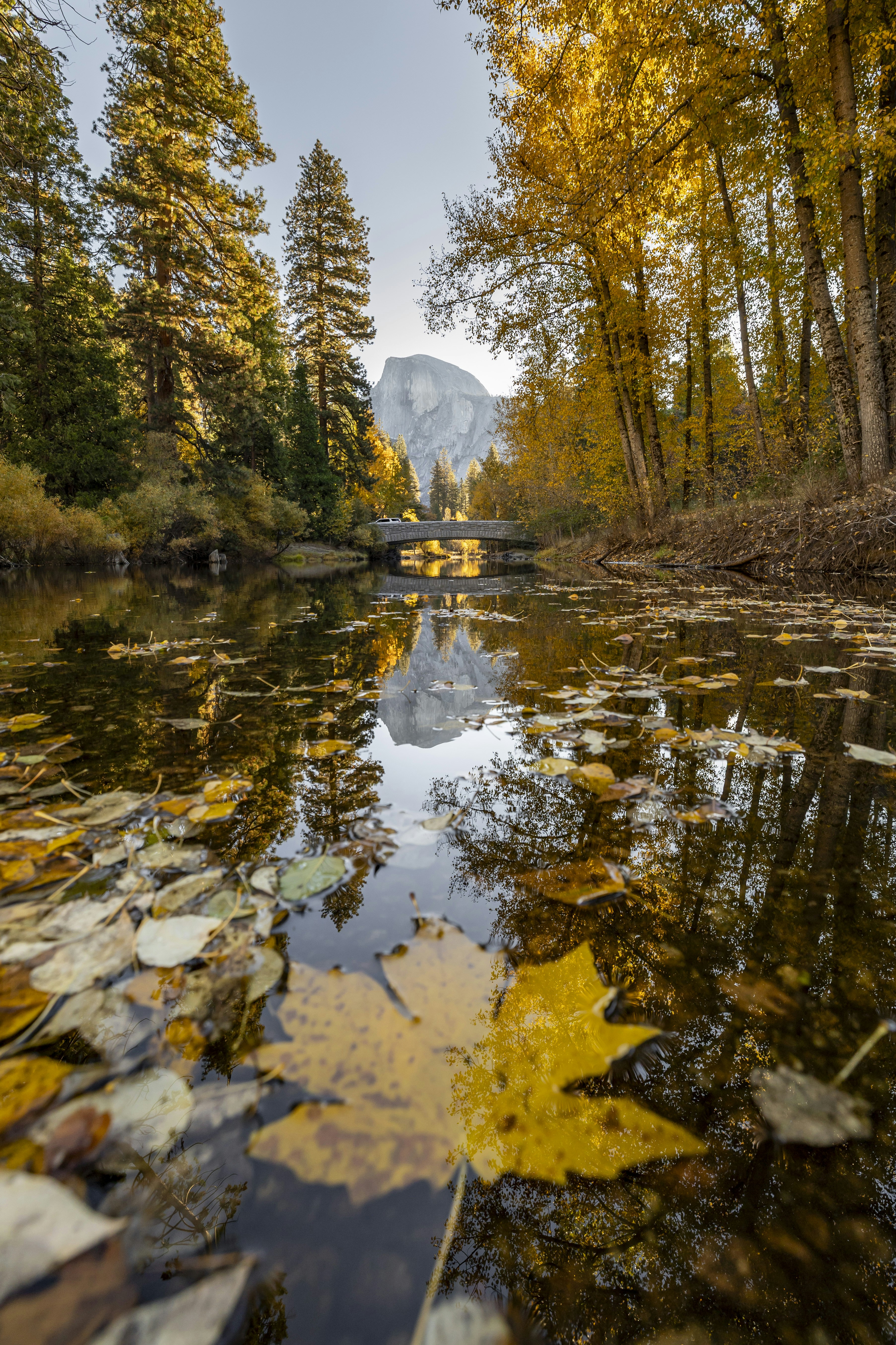 Photo by Leo_Visions with Canon EOS R3