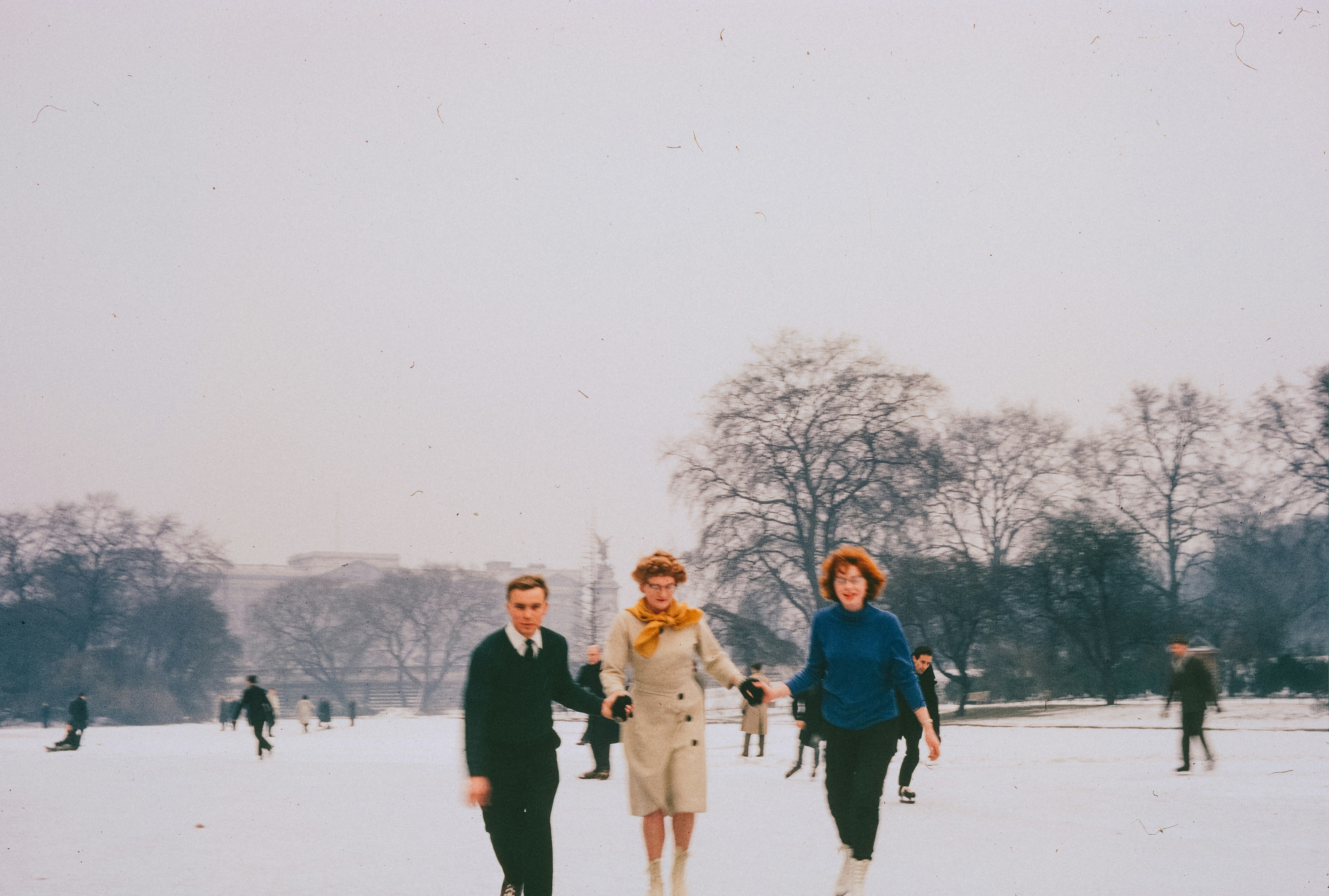 Three on a Frost-White Walkway: A Quiet Winter Moment