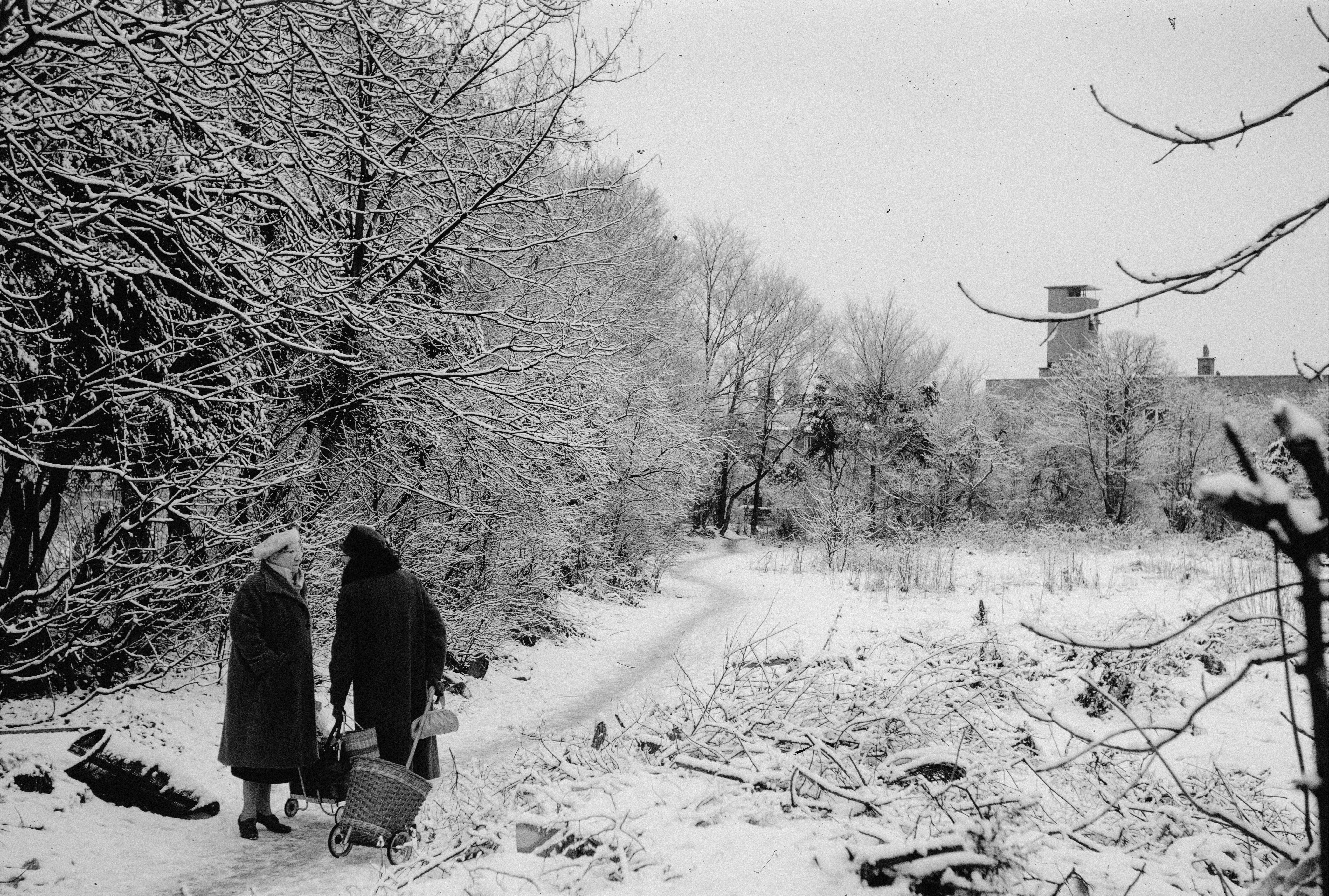 Frost-Lit Crossing: A Snowbound Stroll Toward a Distant Building