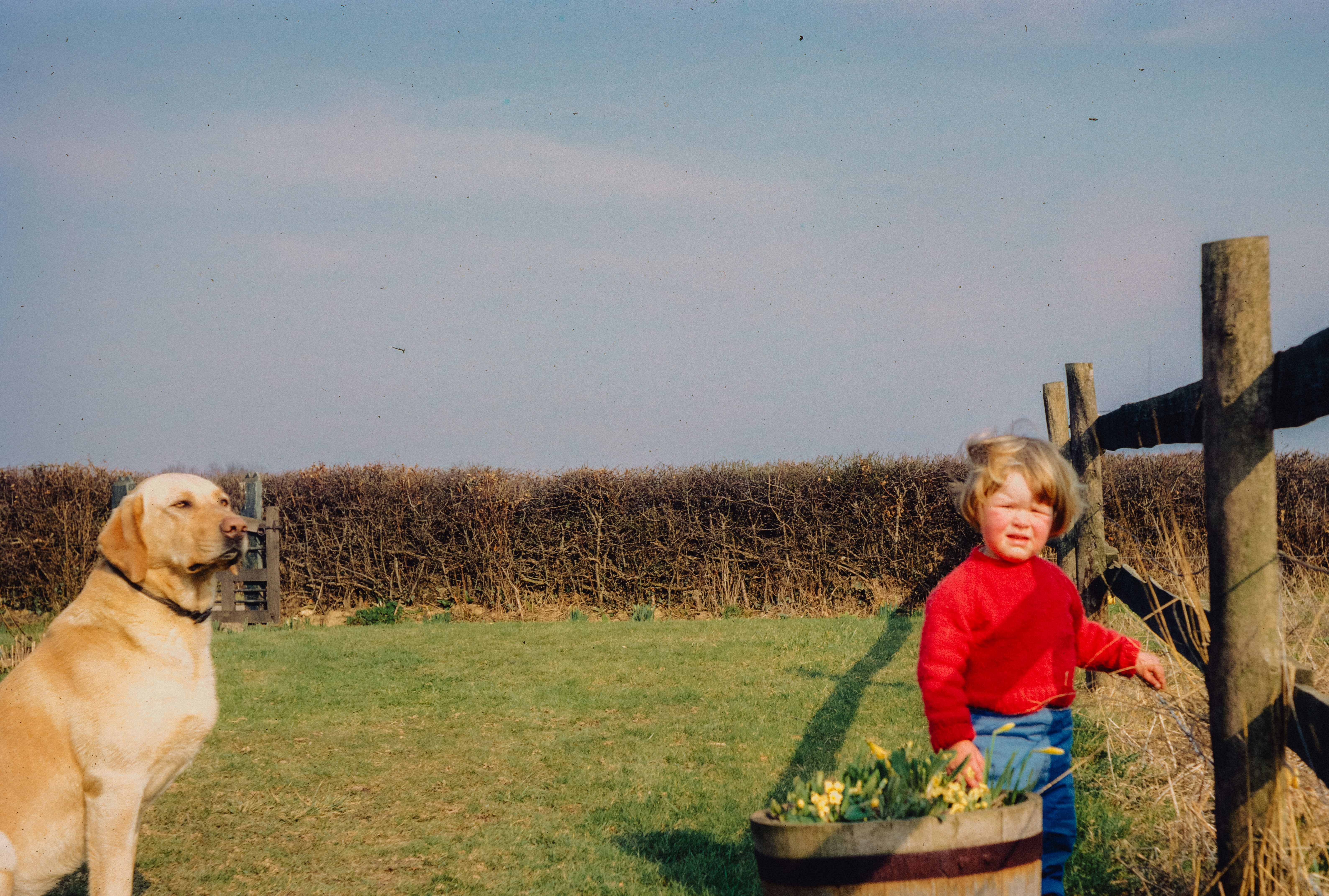 A child and a dog in a grassy field.