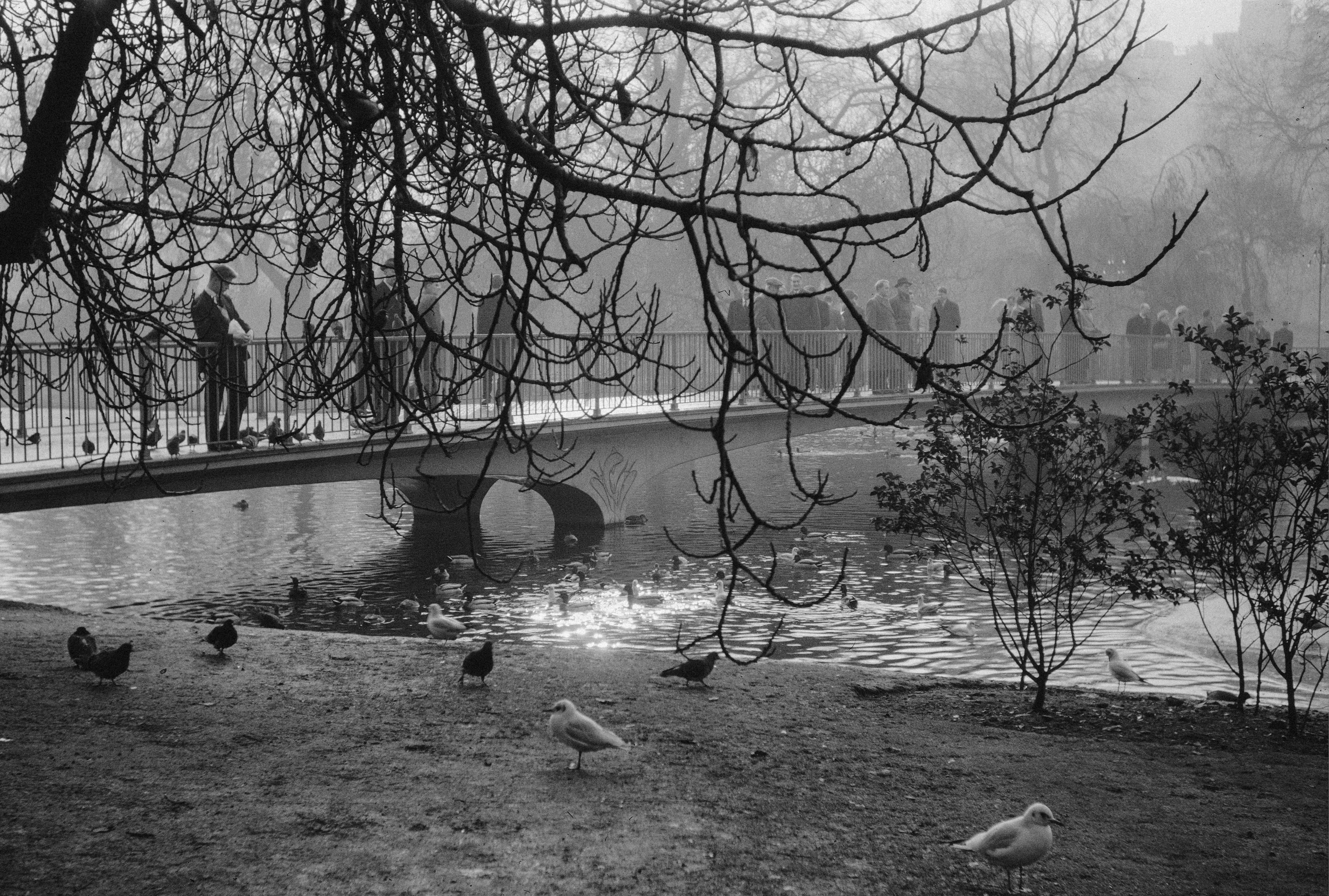 Photo by Annie Spratt with Plustek OpticFilm 120