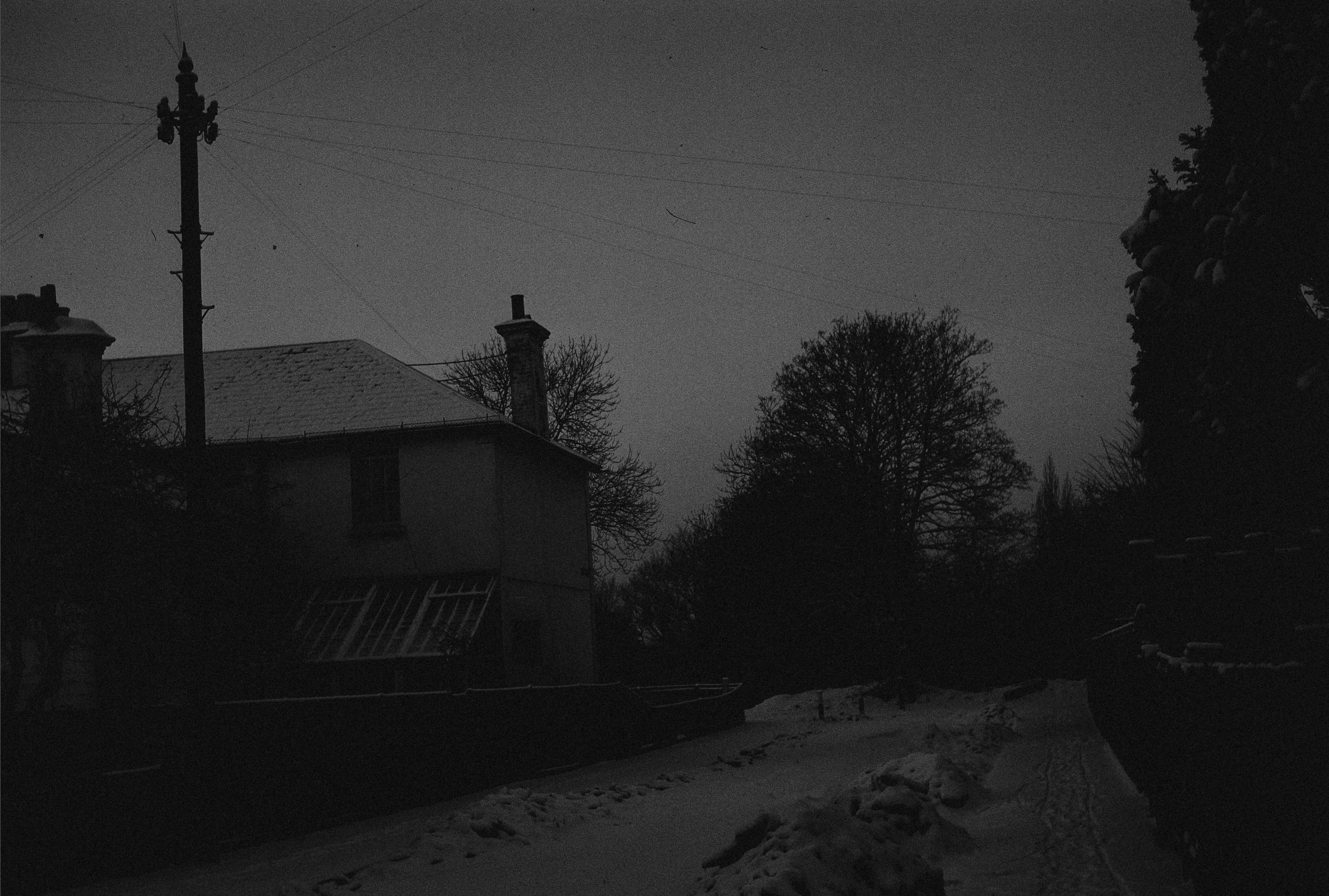 Photo by Annie Spratt with Plustek OpticFilm 120