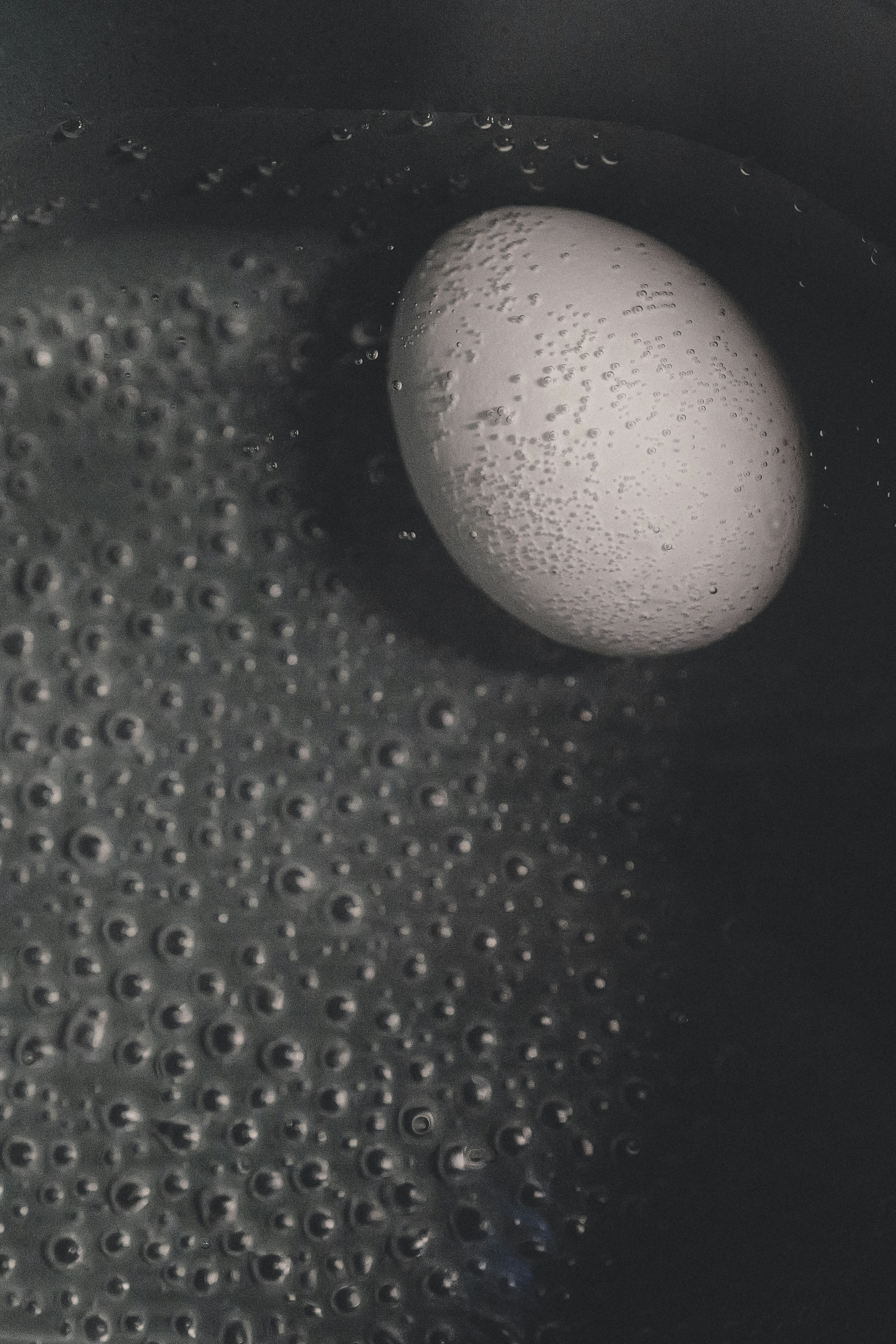 Monochrome Egg in a Sea of Bubbles