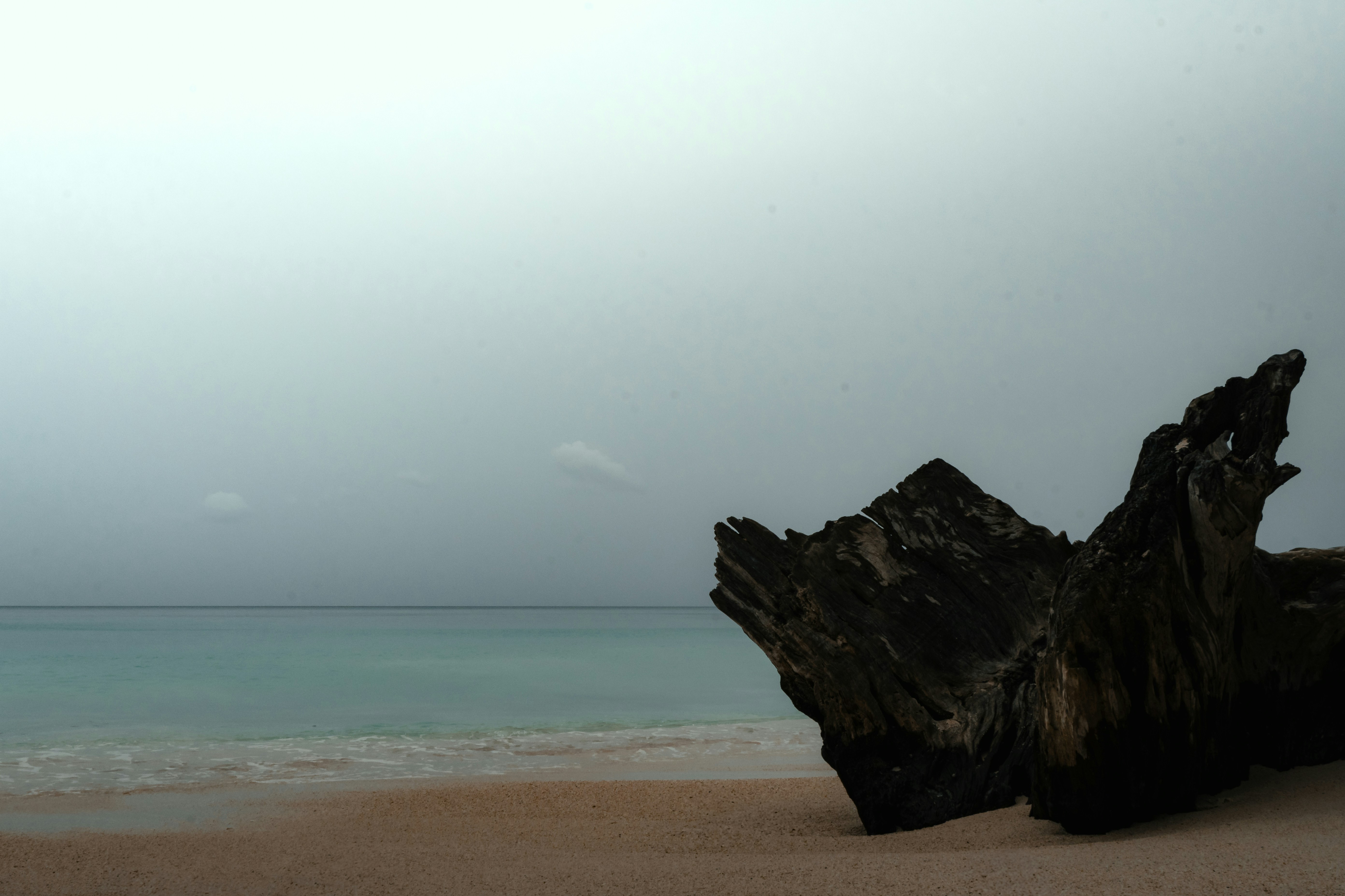 The Quiet Monolith at the Shore: A Sea-Worn Rock Standing Against the Tide