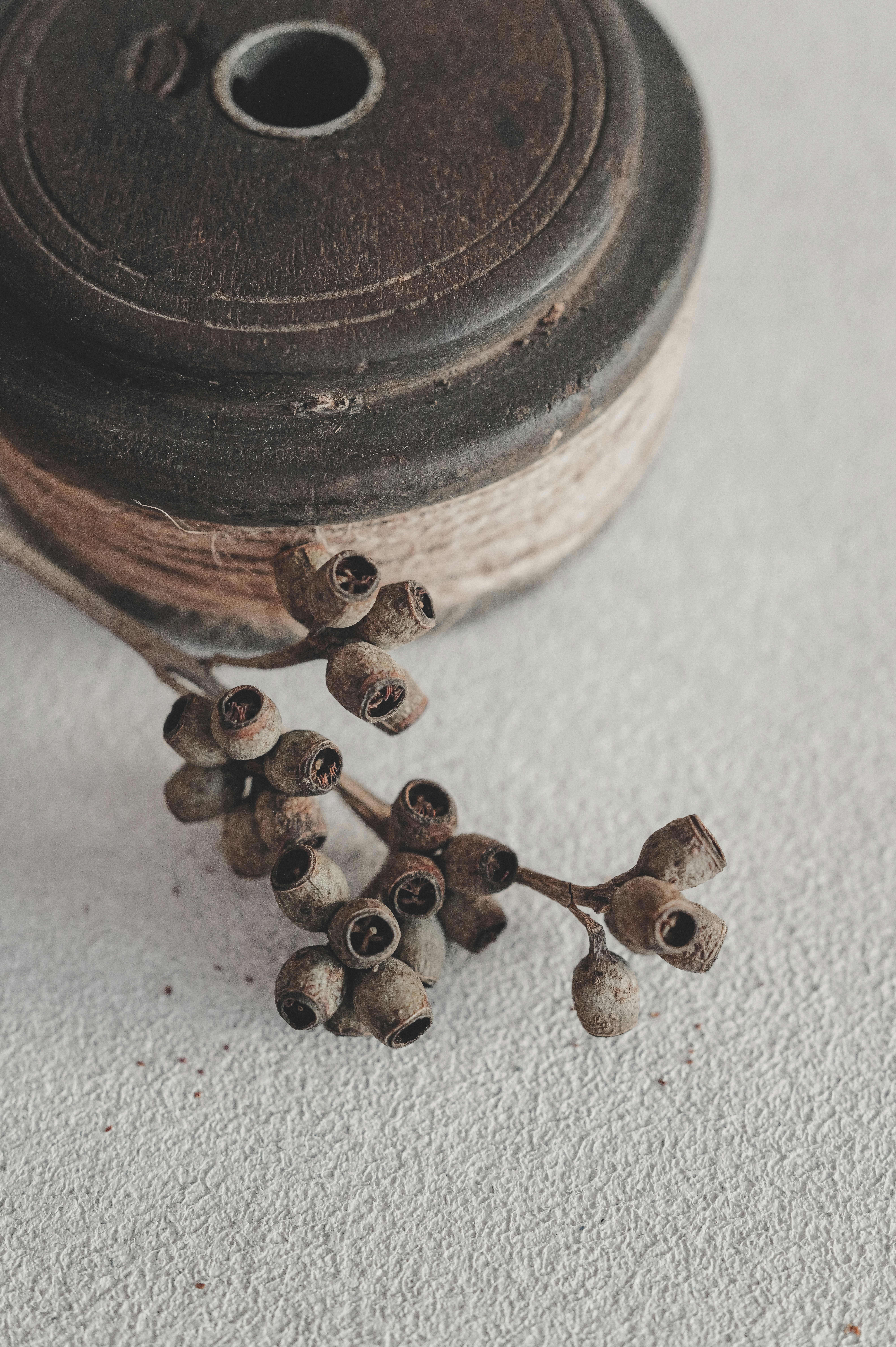 Vintage spool with twine beside a cluster of eucalyptus gumnuts on a light surface. Warm, tactile textures and a rustic studio feel.