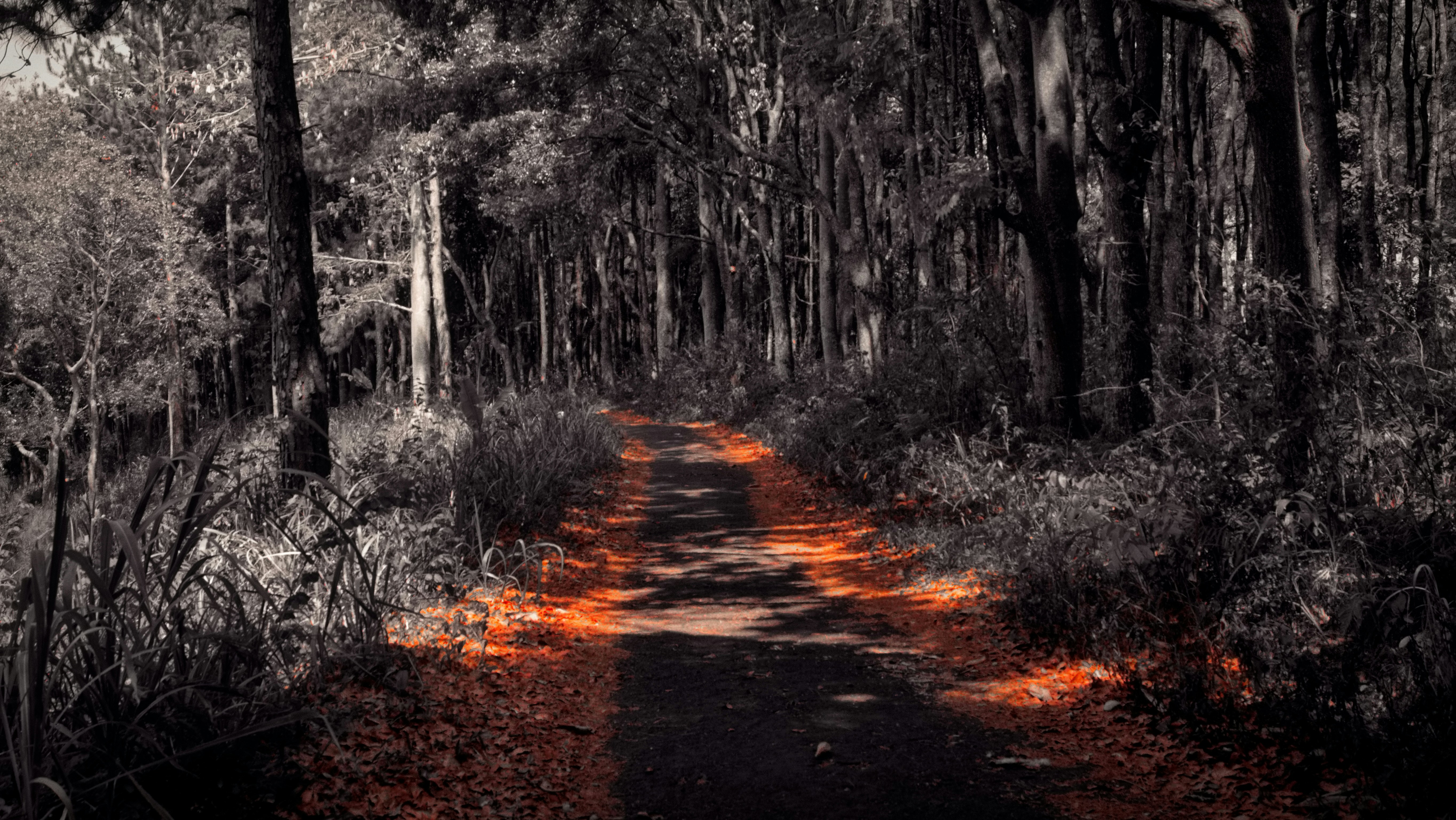 im not sure what am i making xd