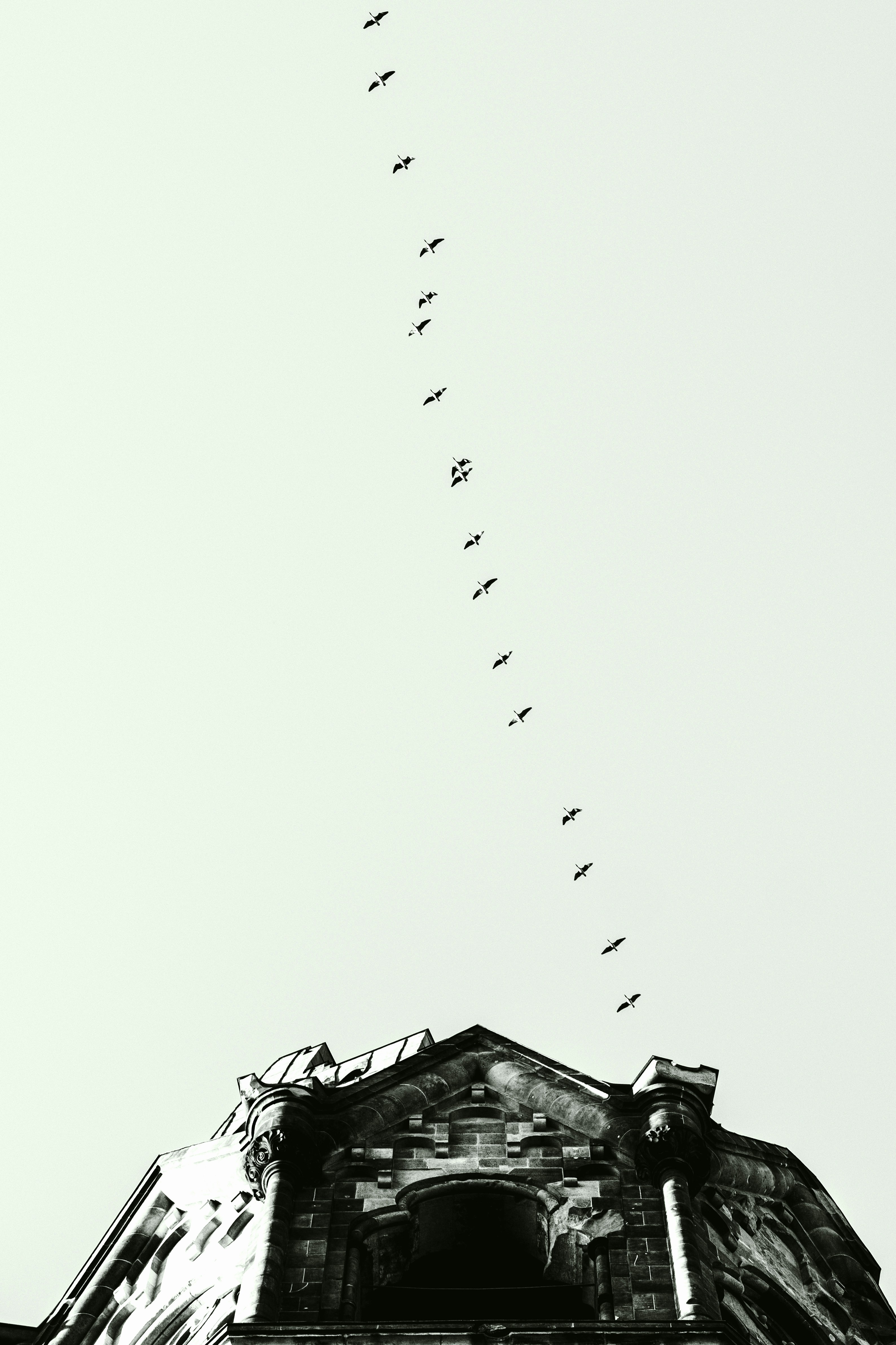 Diagonal Flight Line Over a Weathered Facade