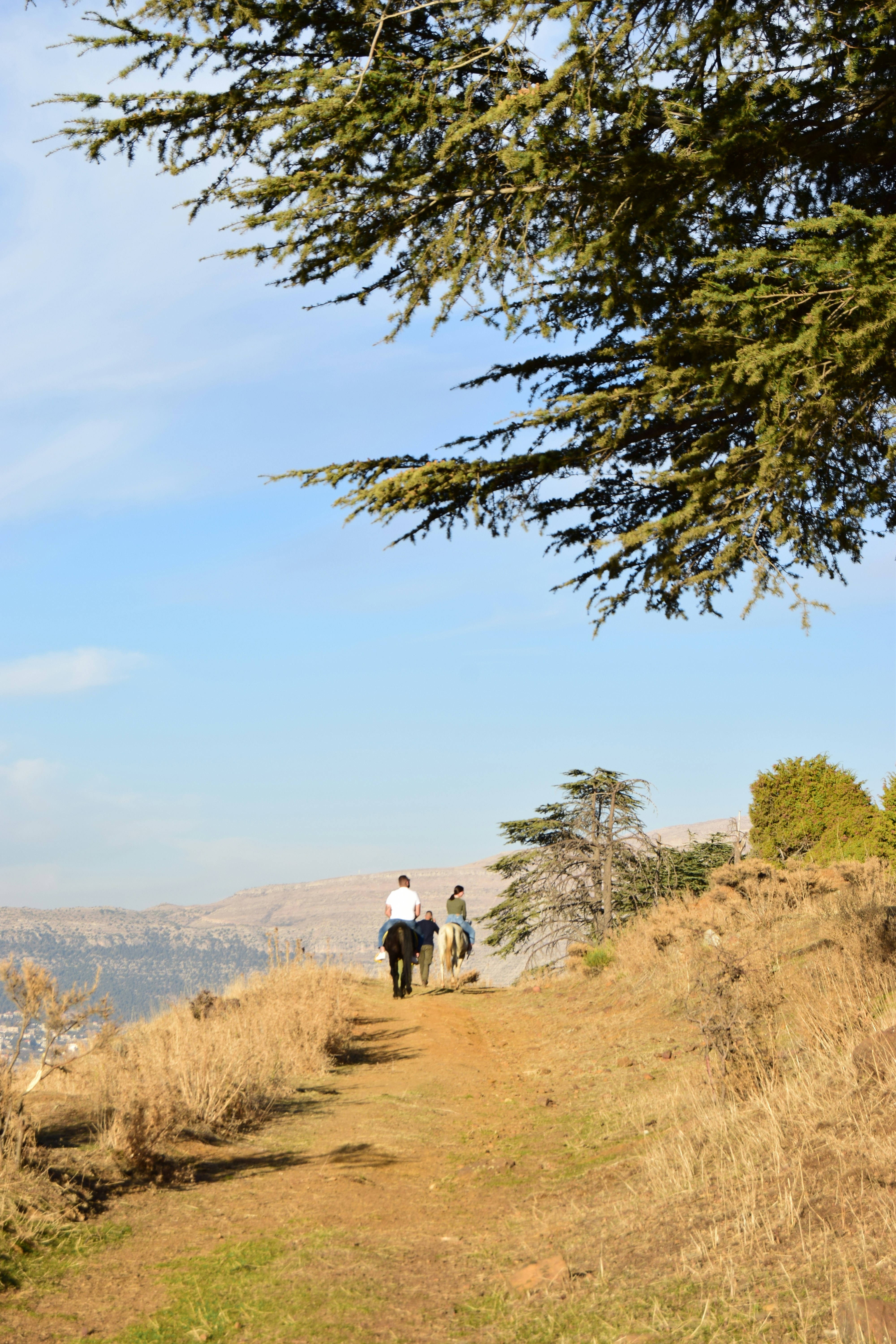 Rudy Issa (@rudy_issa) | Unsplashフォトコミュニティ