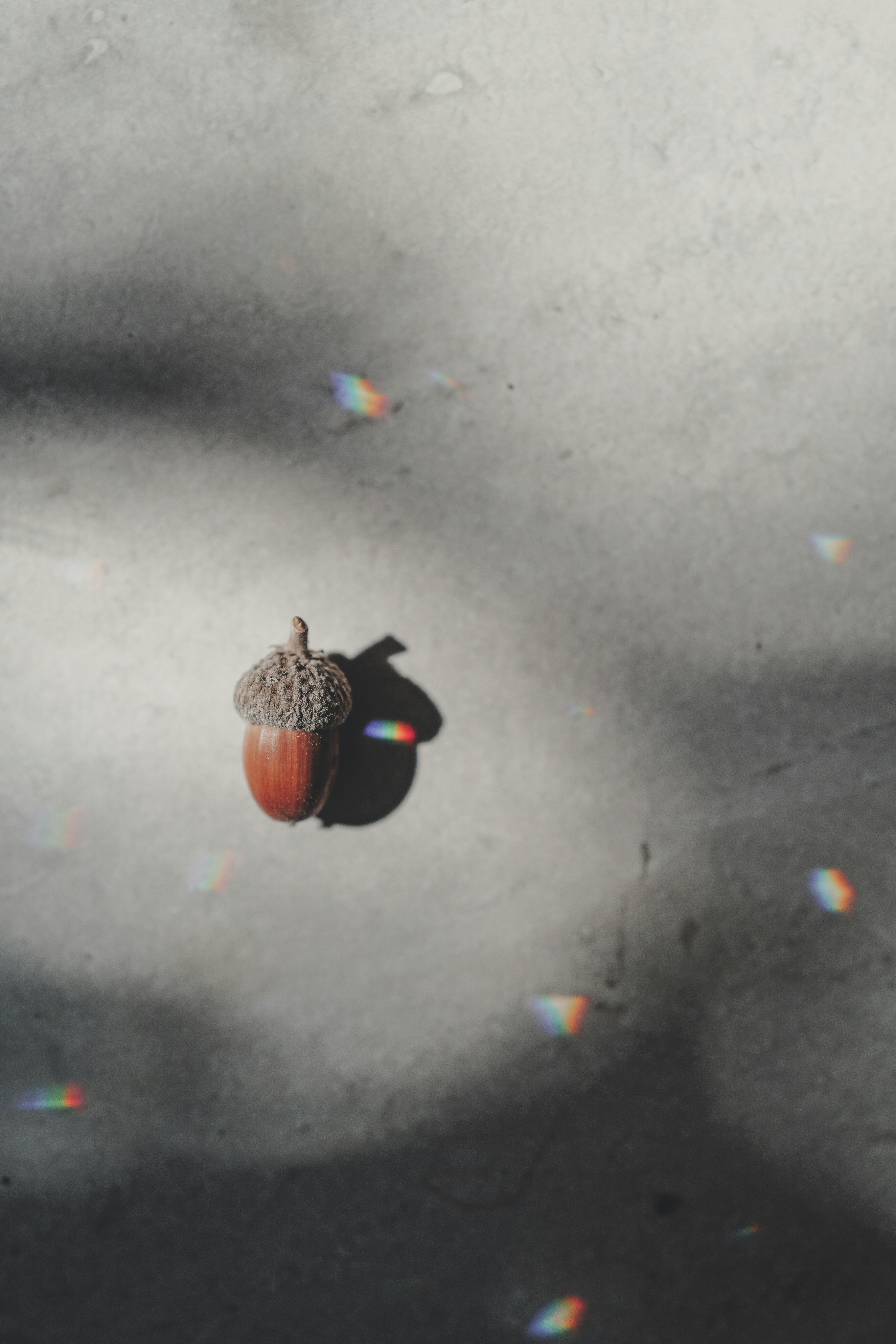 Single acorn on concrete with tiny rainbow prisms scattered in the shade.