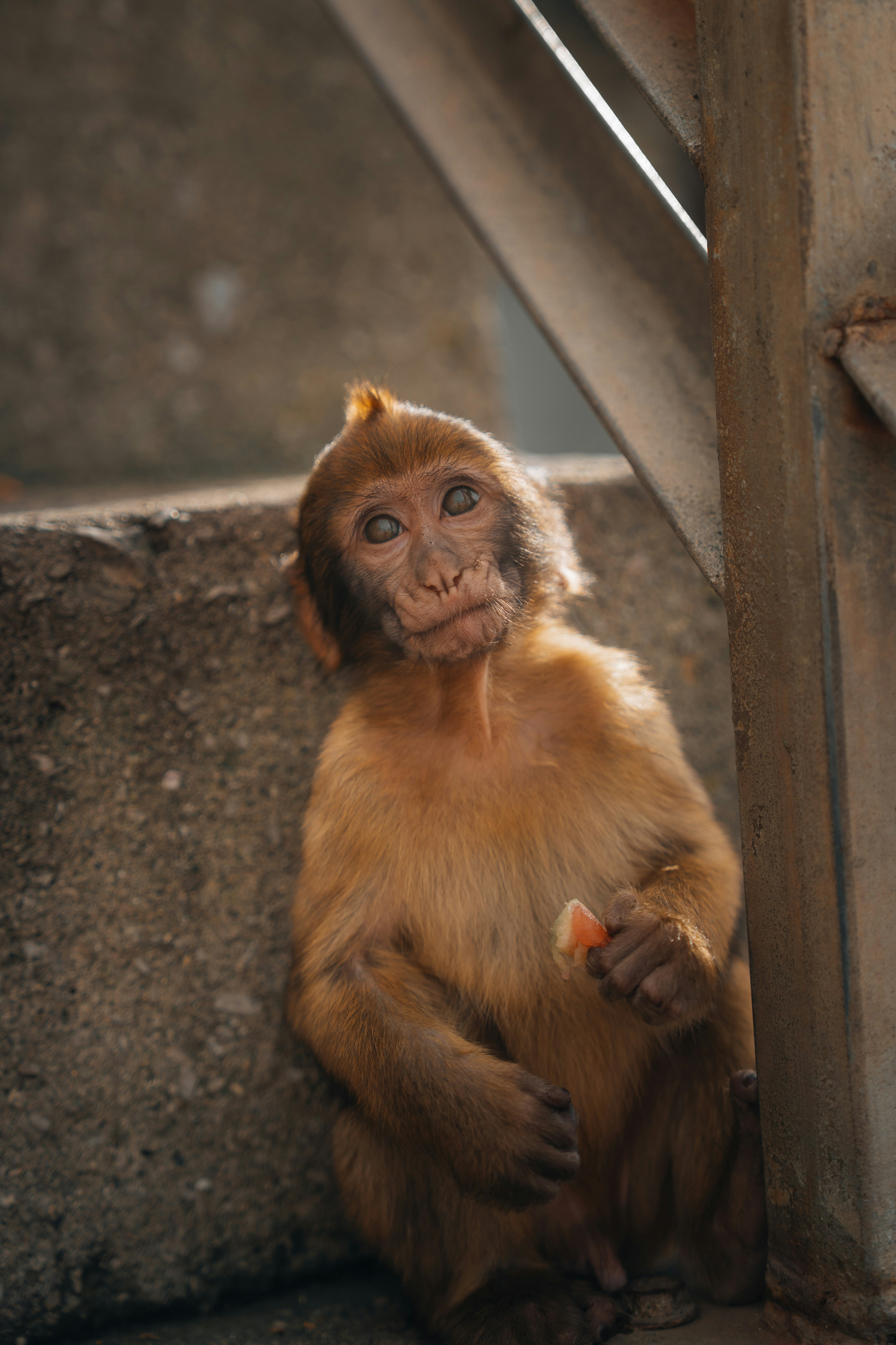 Photo by Andrei R. Popescu with Sony Alpha 7 III